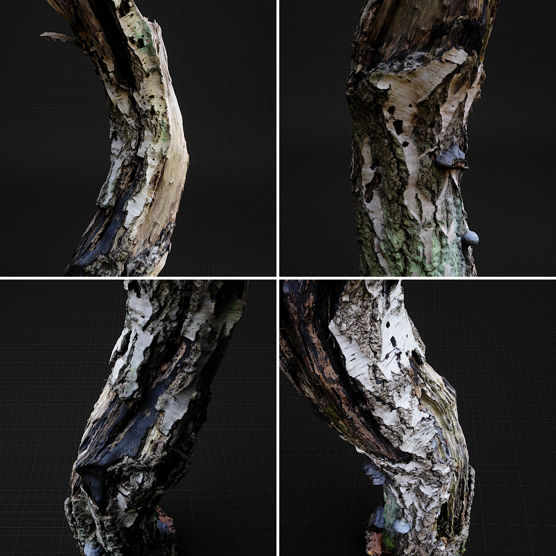 ArtStation - 3D Scanned tree trunk