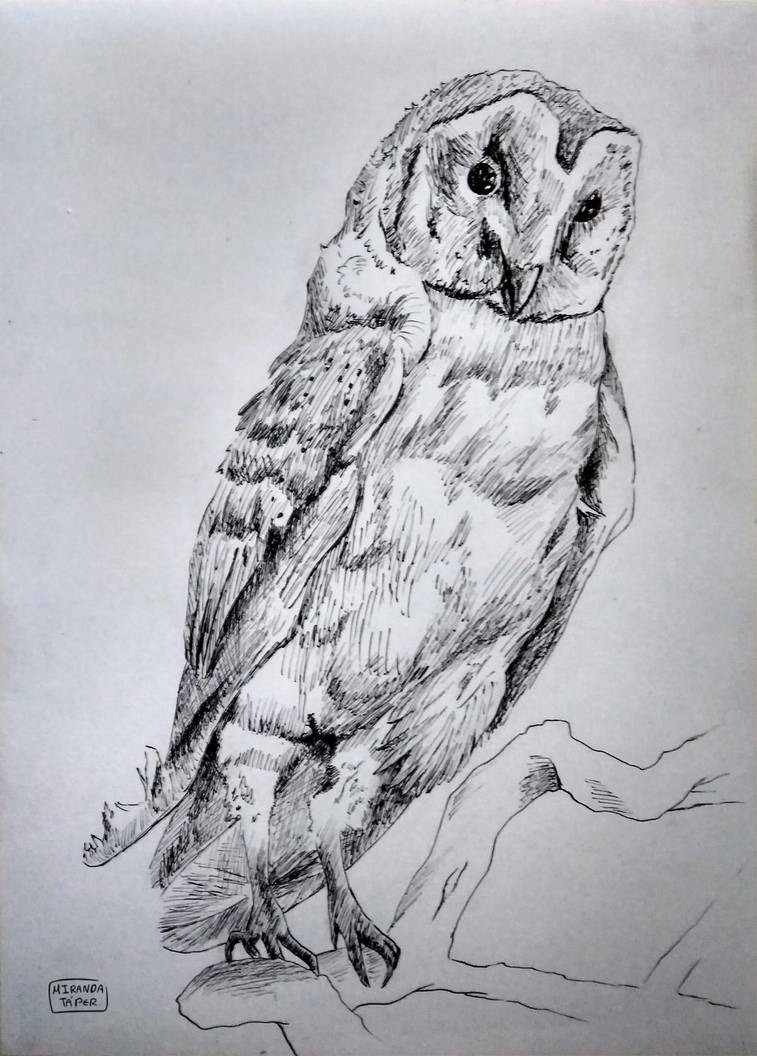 ArtStation - Tyto Alba