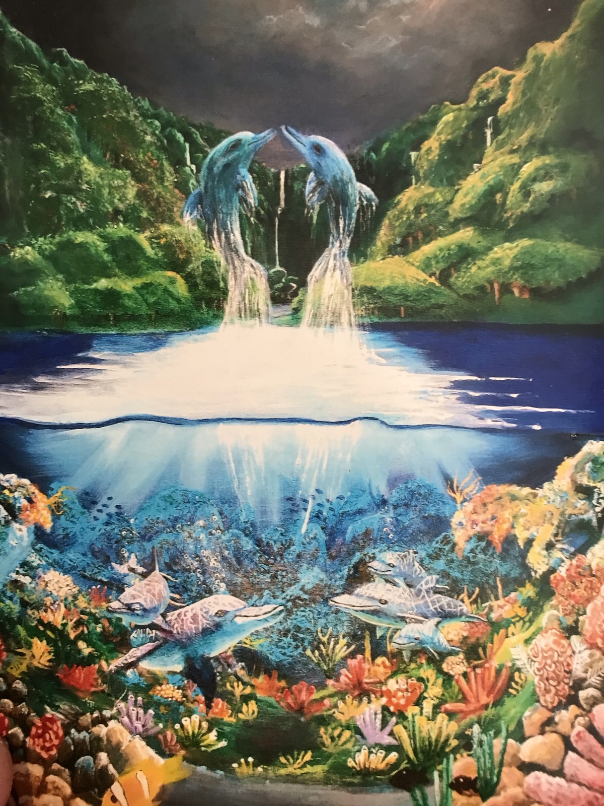 Jason Monroe - Family of Dolphins