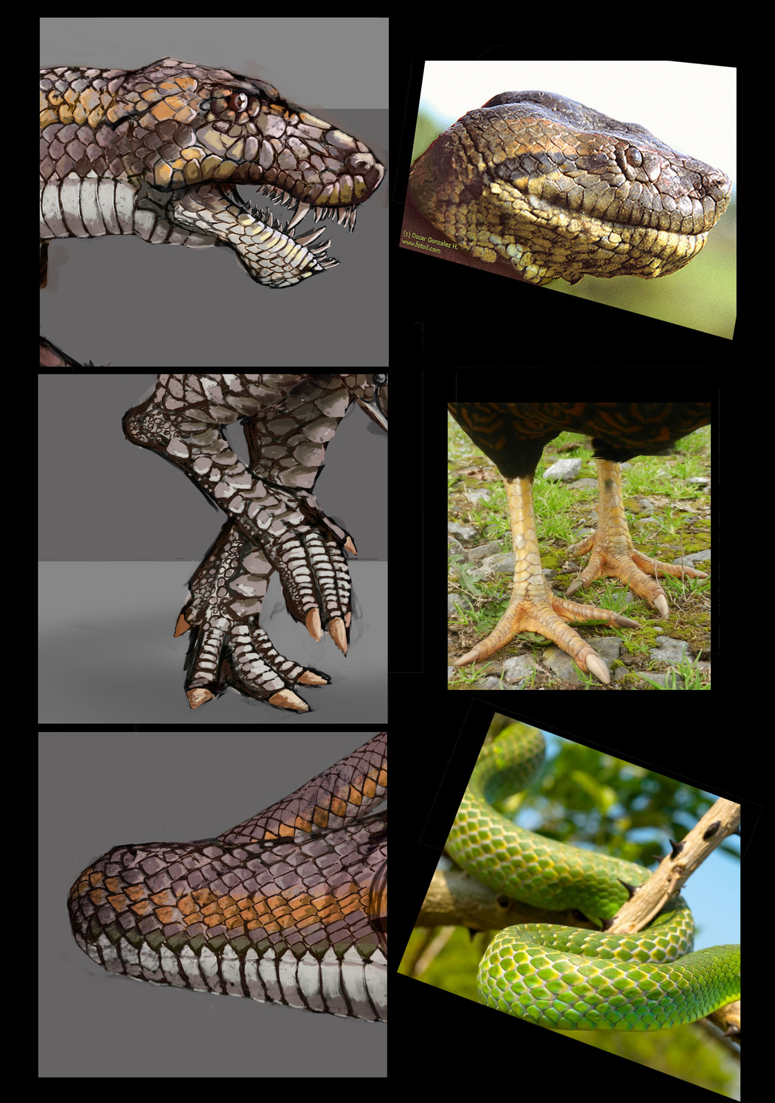 Jacob Gamm - K'ell Hunter - The Malazan Books of the Fallen, personal ...