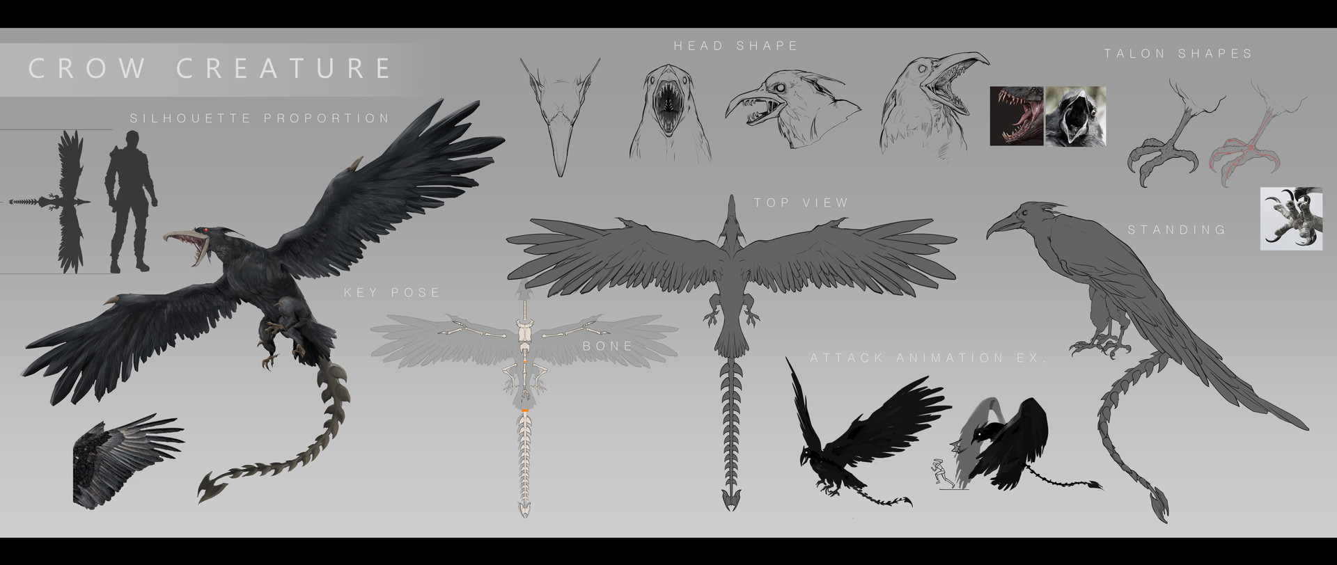 ArtStation - Crow creature concept artwork