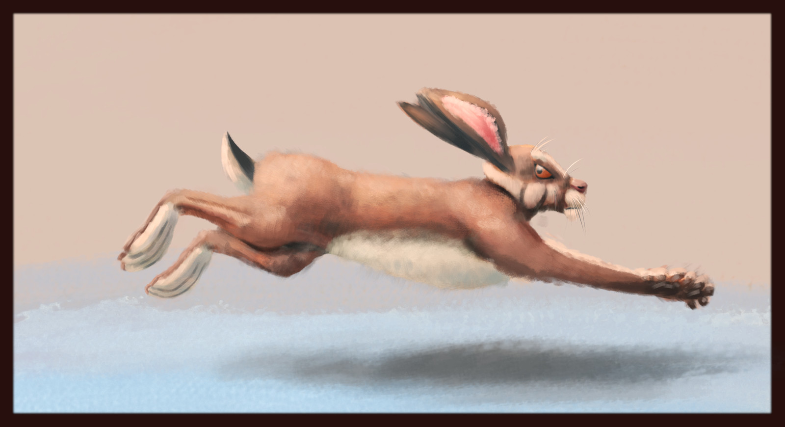 David Bock - Scaredy Hare