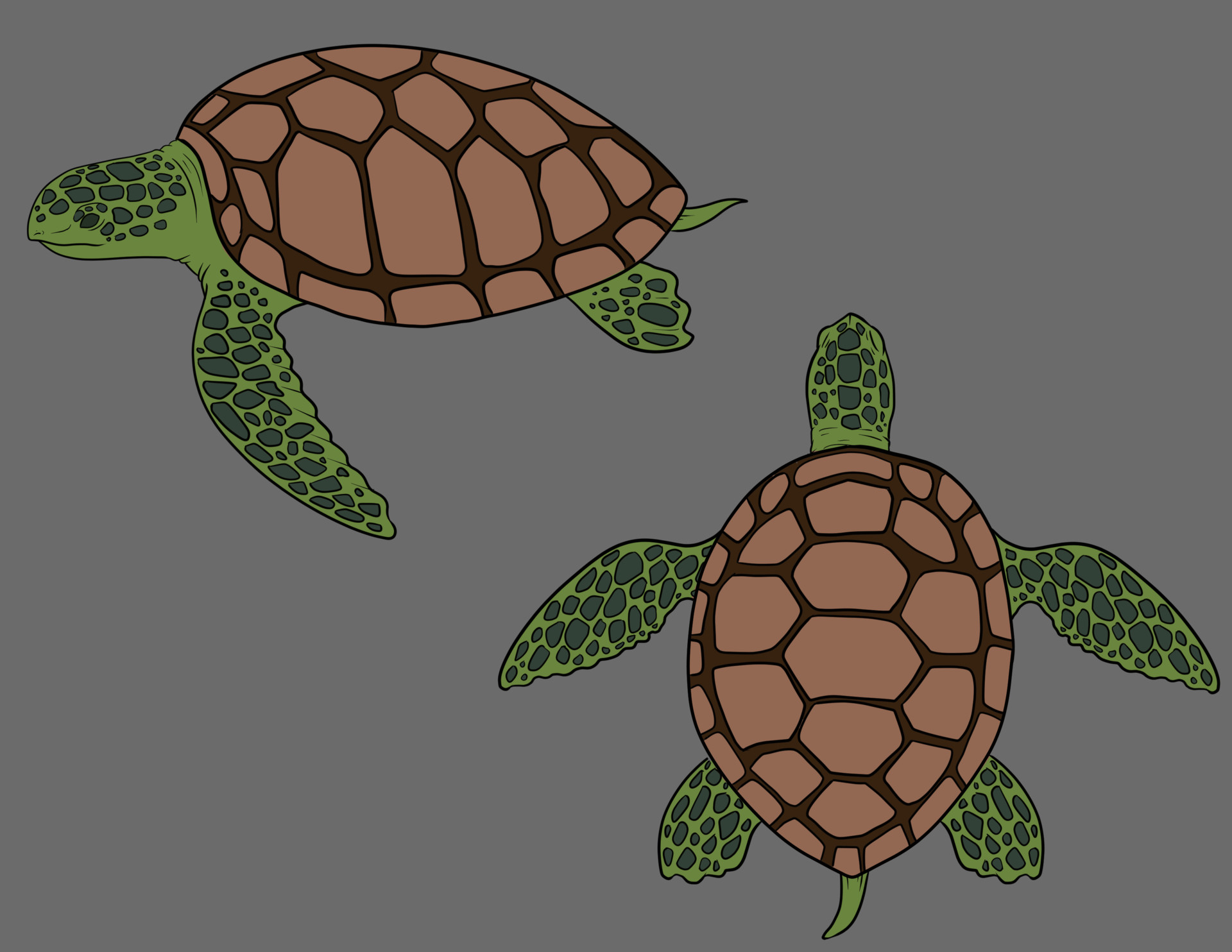 Lorena Gutierrez - RA Animal Book Character Design