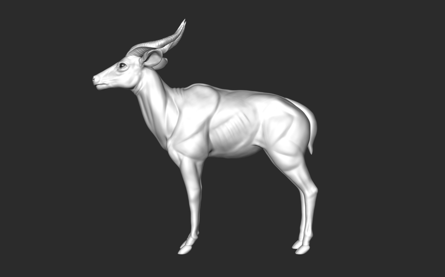 Emma Green - Nyala Bovid Practice