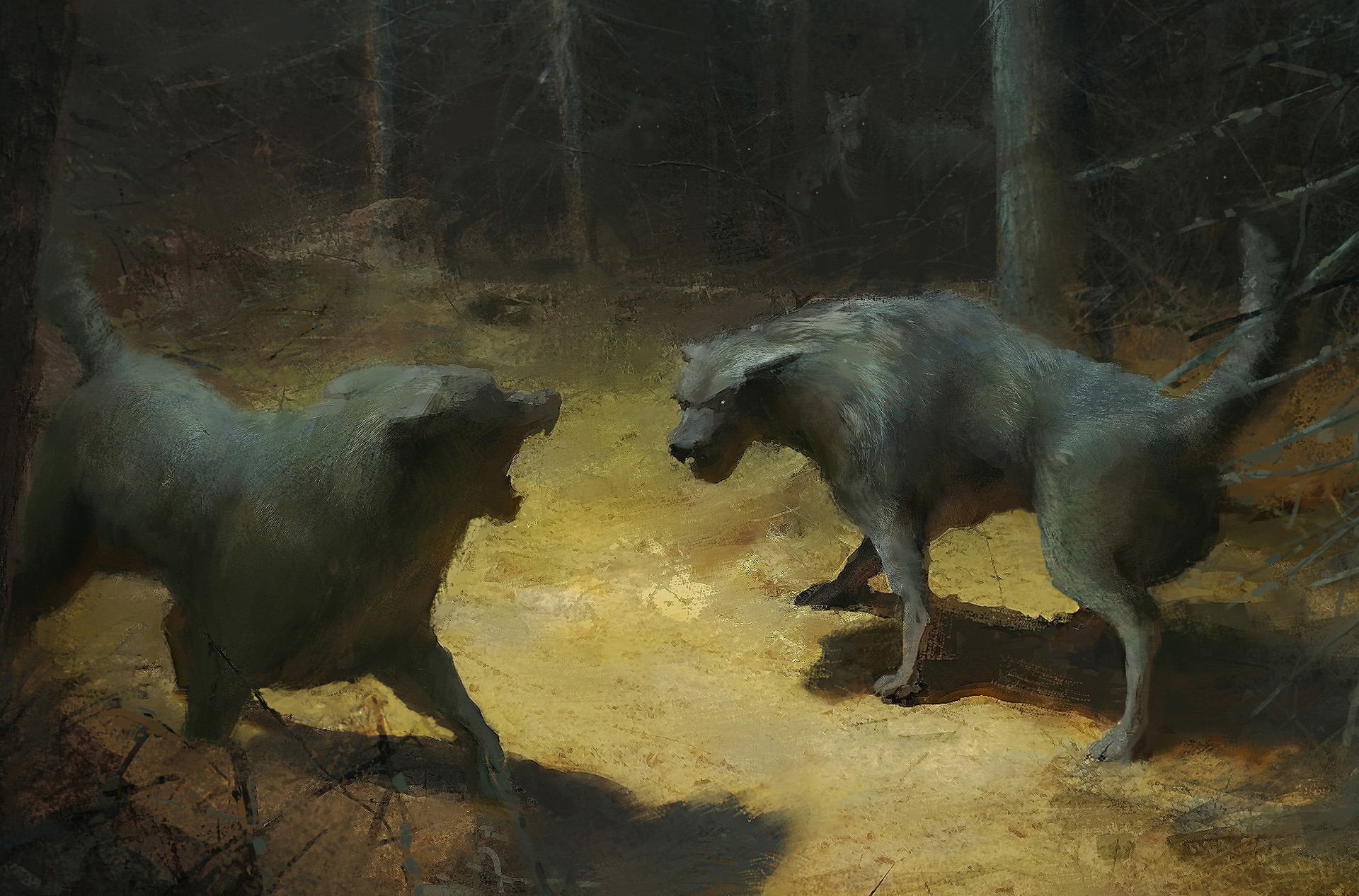 David Honz - A fight over the golden crown