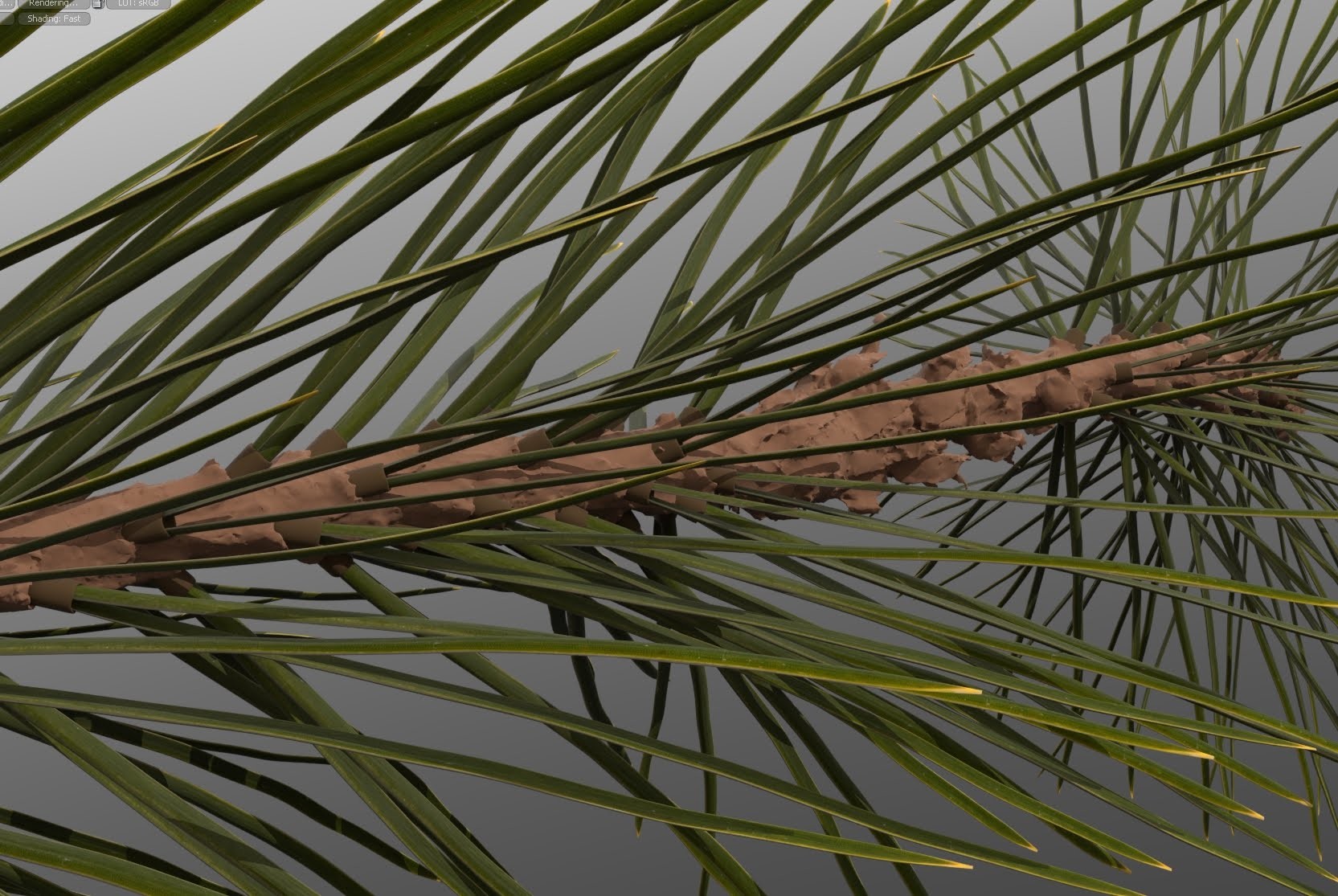 Lars Korb - Pine Twig