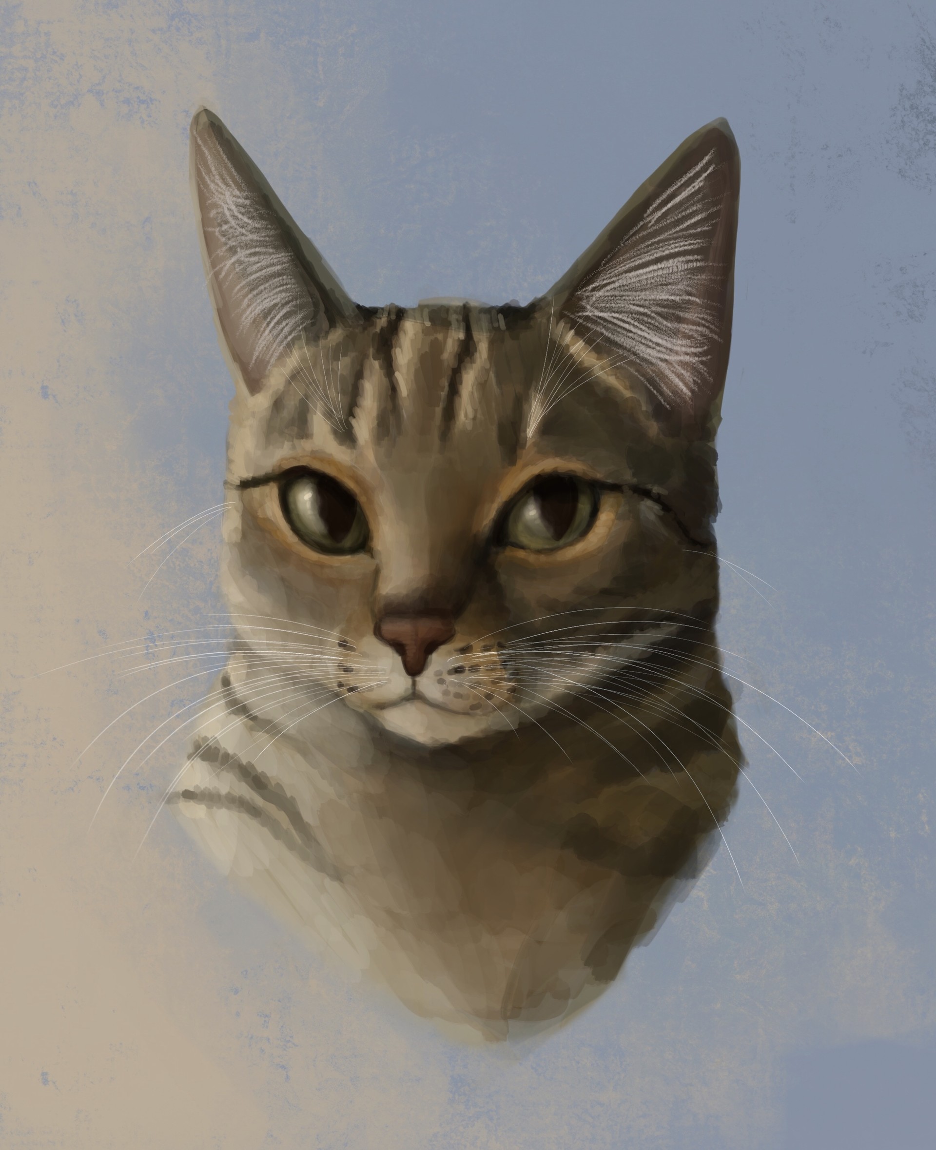 ArtStation - Cat portrait
