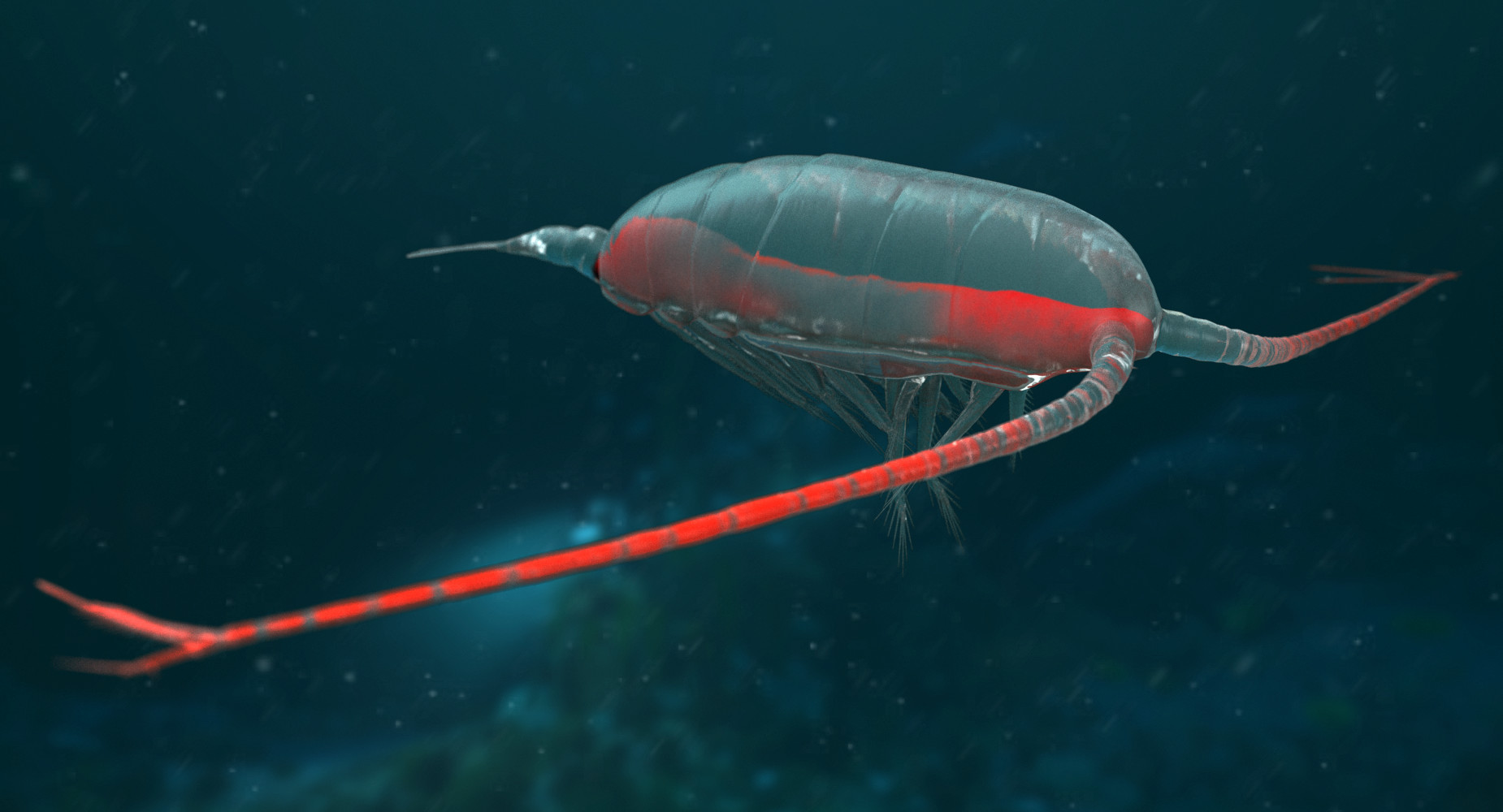 ArtStation - Copepod