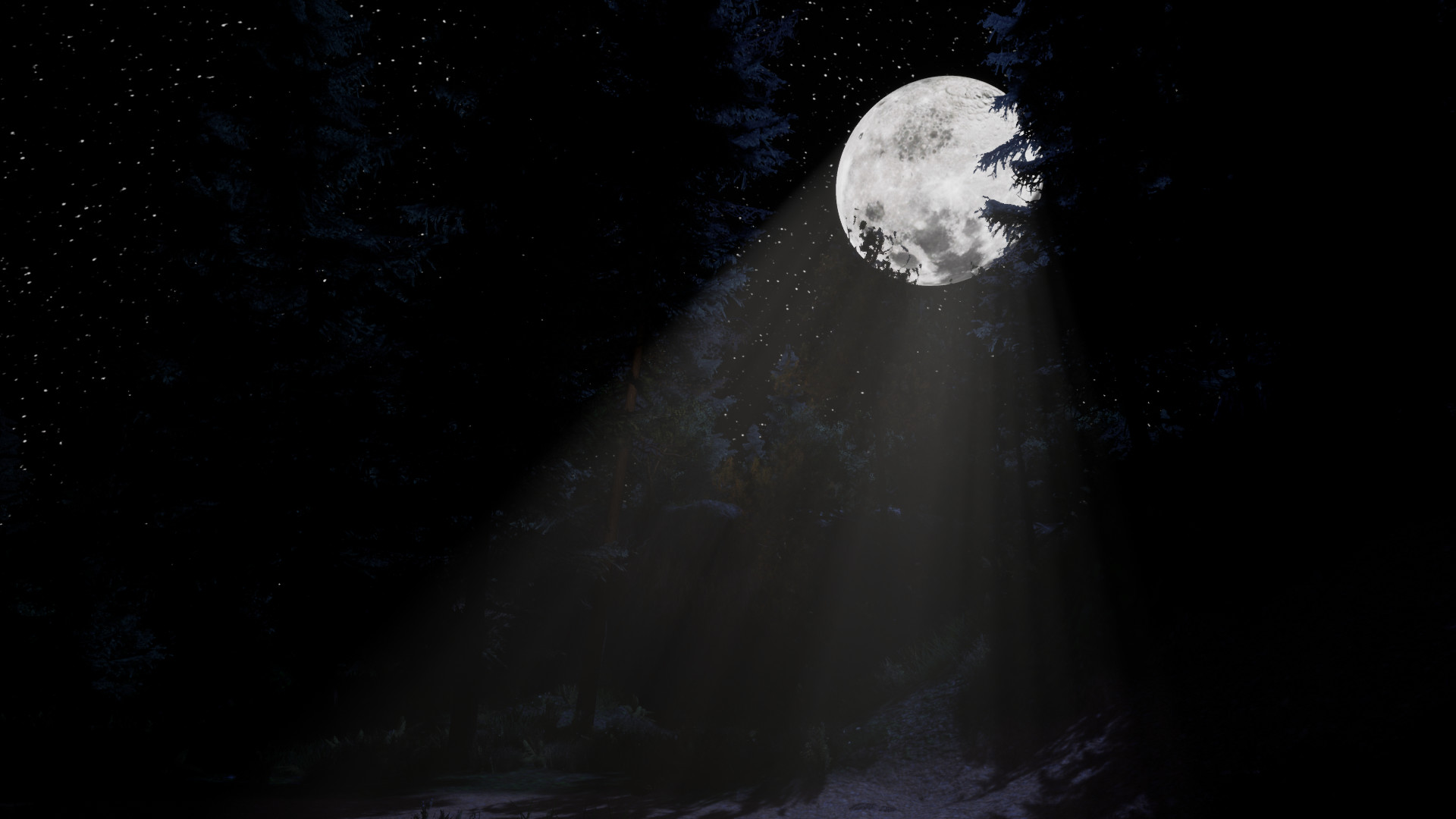 ArtStation - Overnight