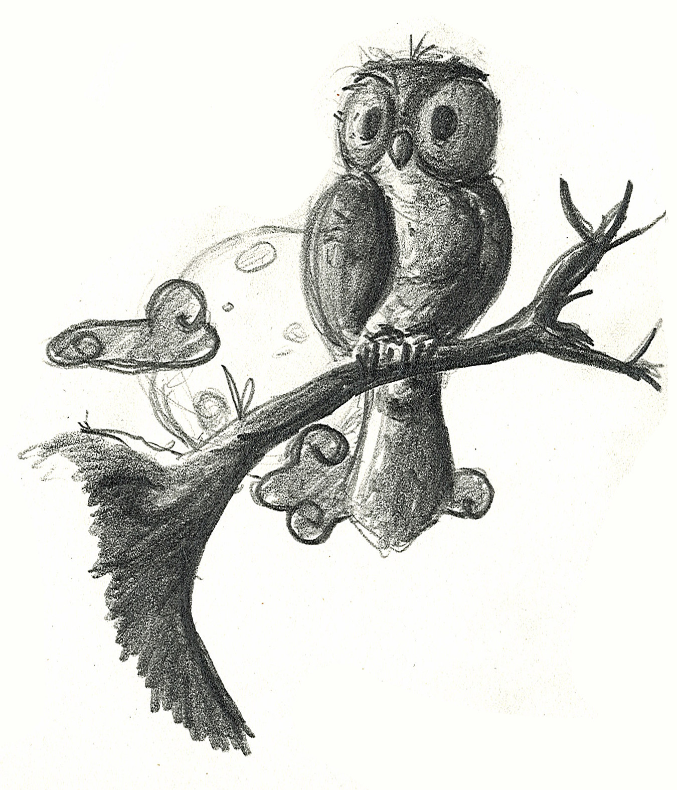 ArtStation - Midnight Owl