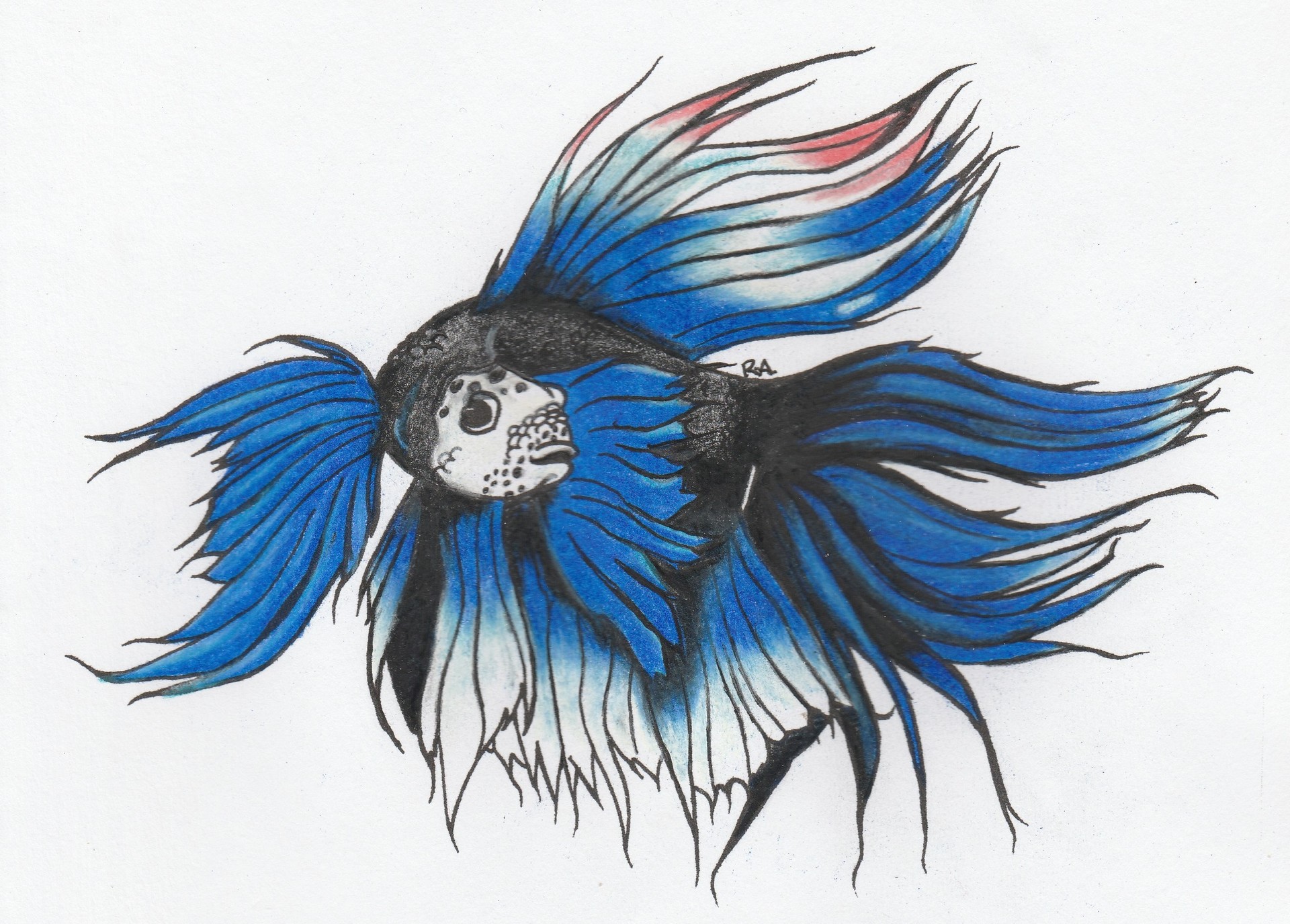 ArtStation - Beta Fish Commission - 2017