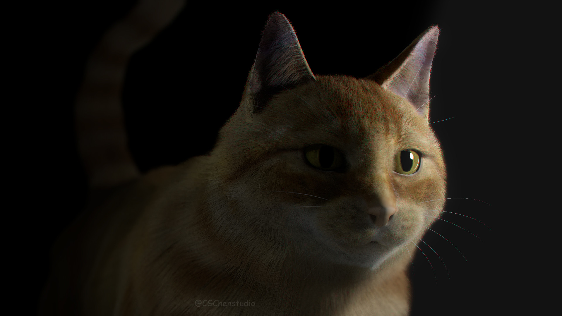 ArtStation - Cat in shadow