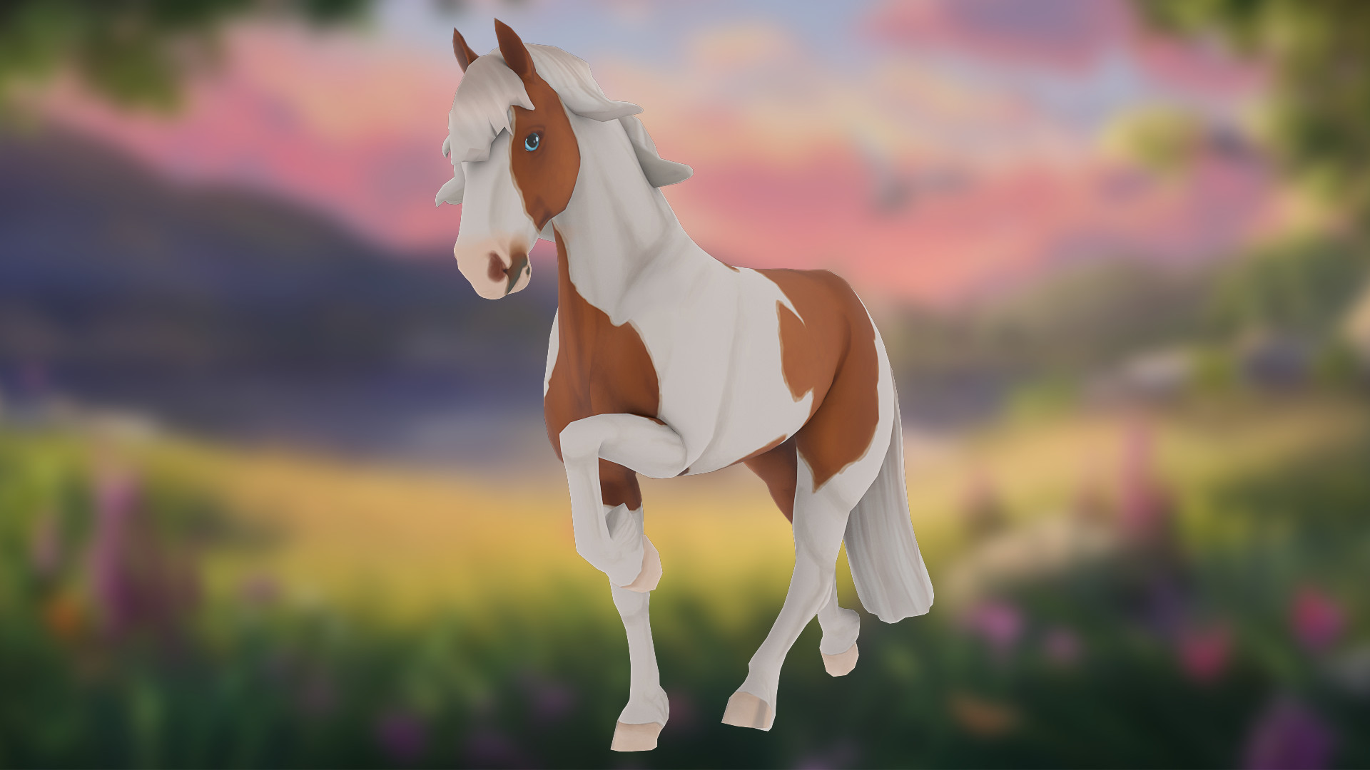 Icelandic Horse Tolt