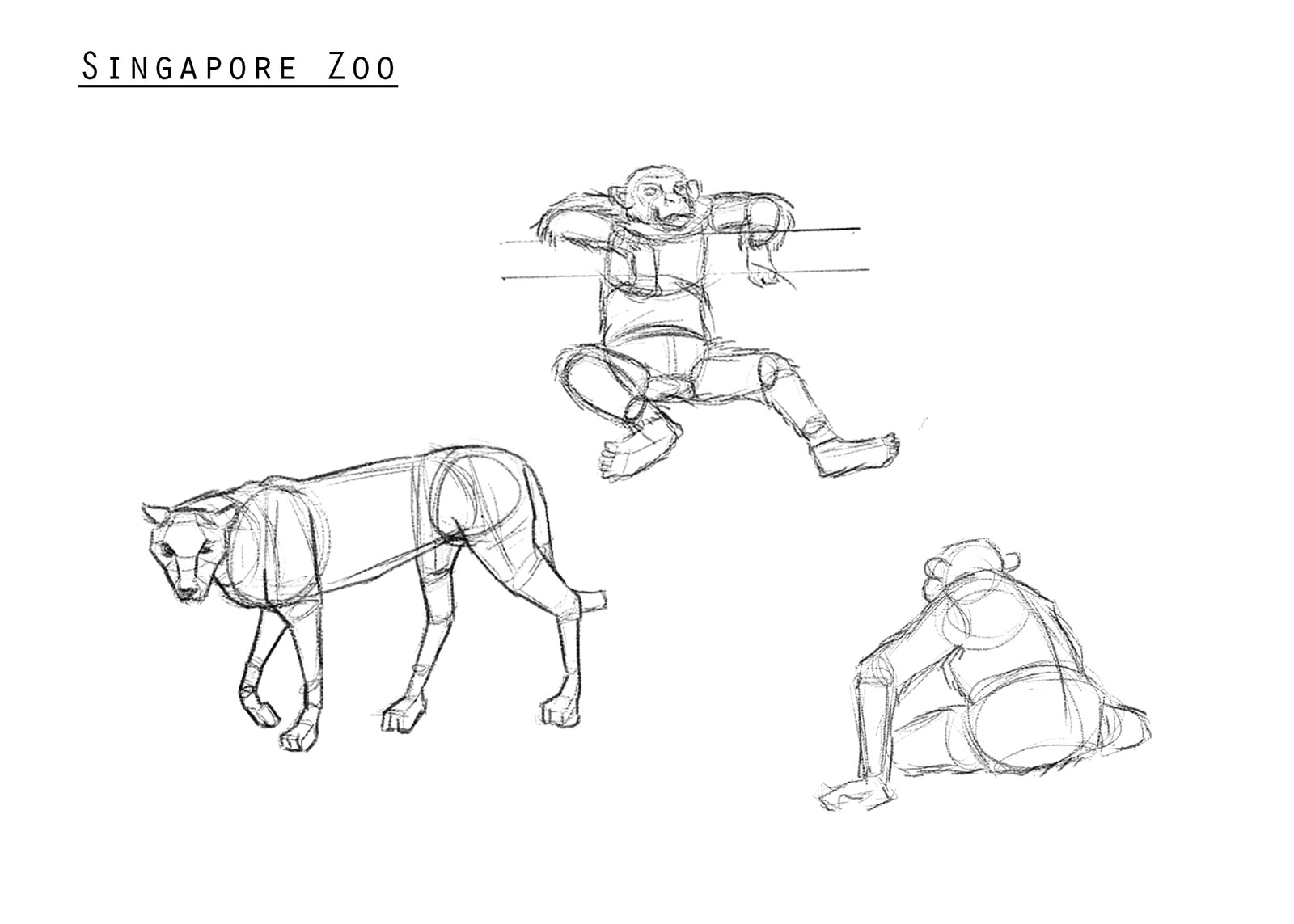 Vanessa Goh - Animal Locomotion Gesture Drawings