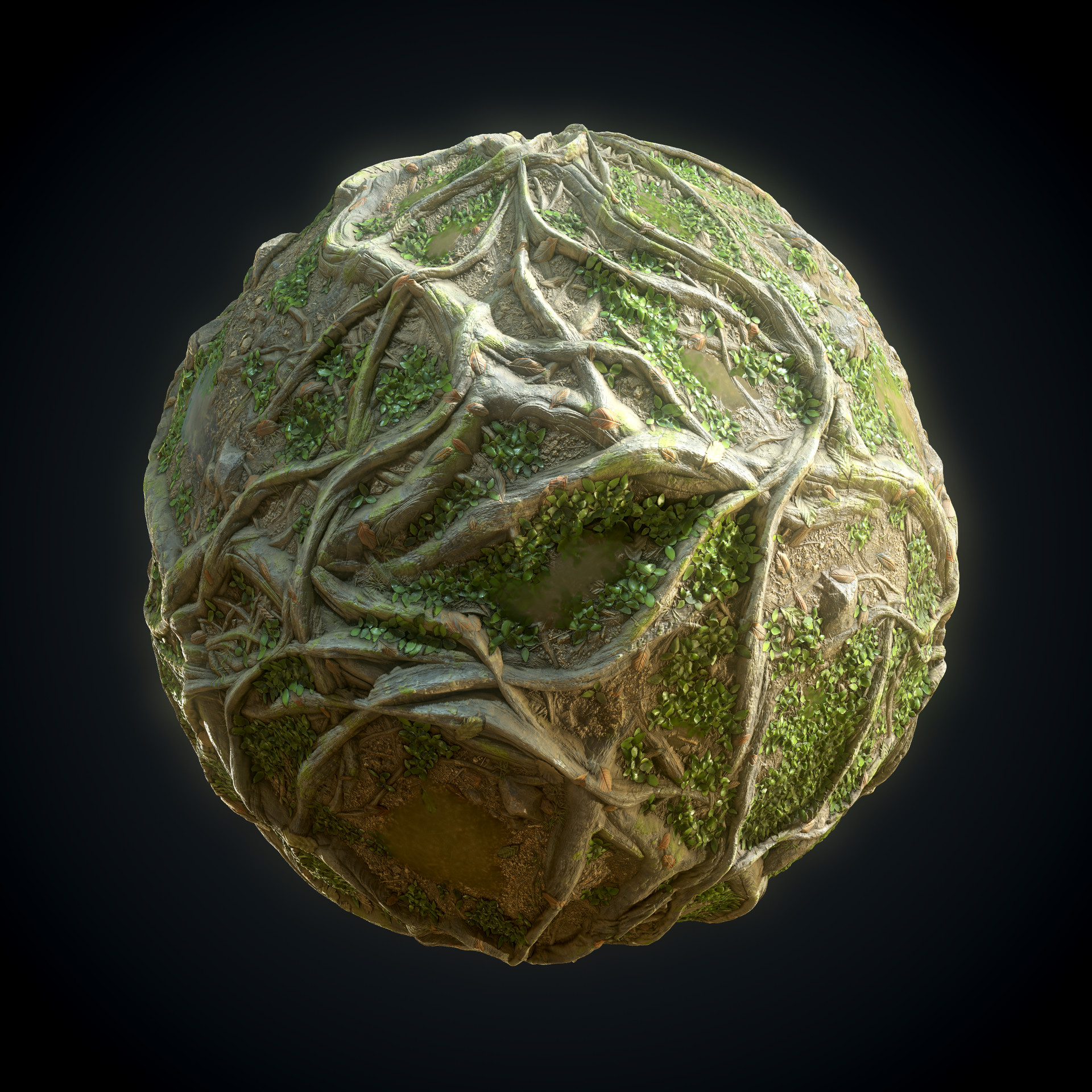 ArtStation - Forest root study