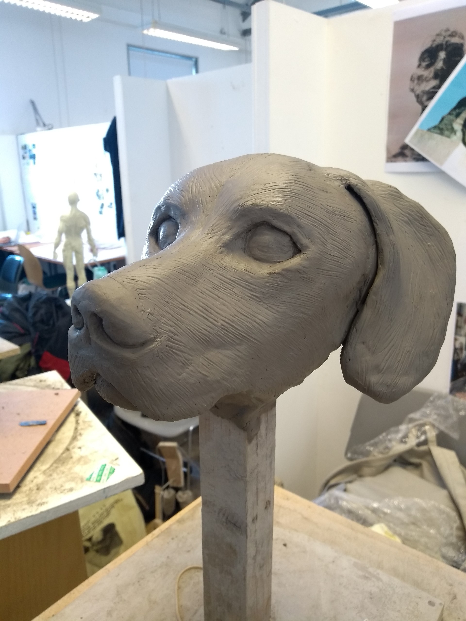 ArtStation - Alsatian Head