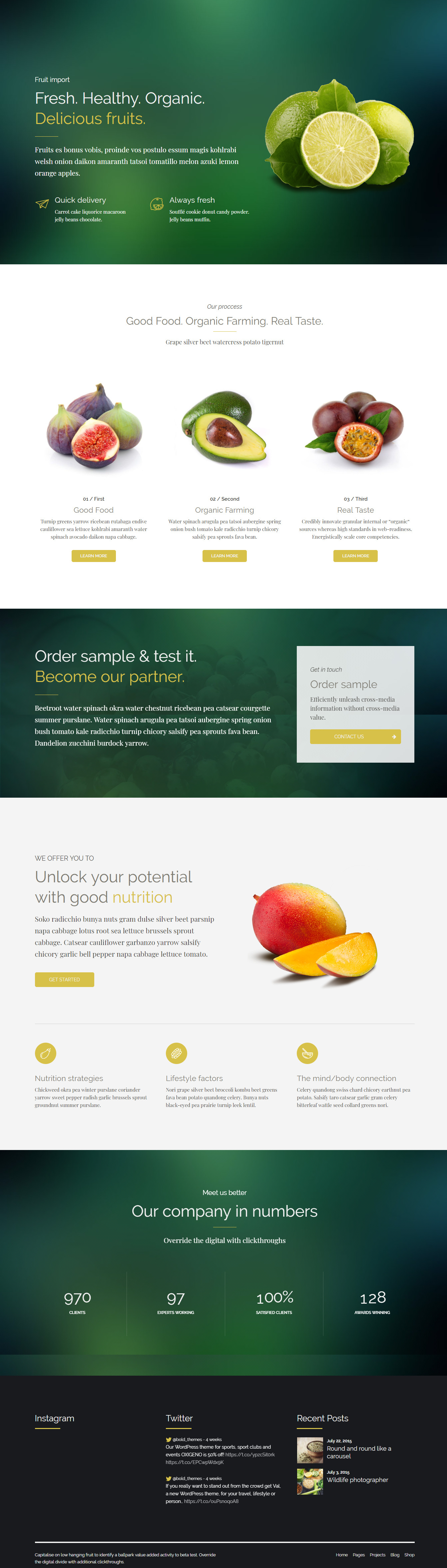 ArtStation - Import Website Design