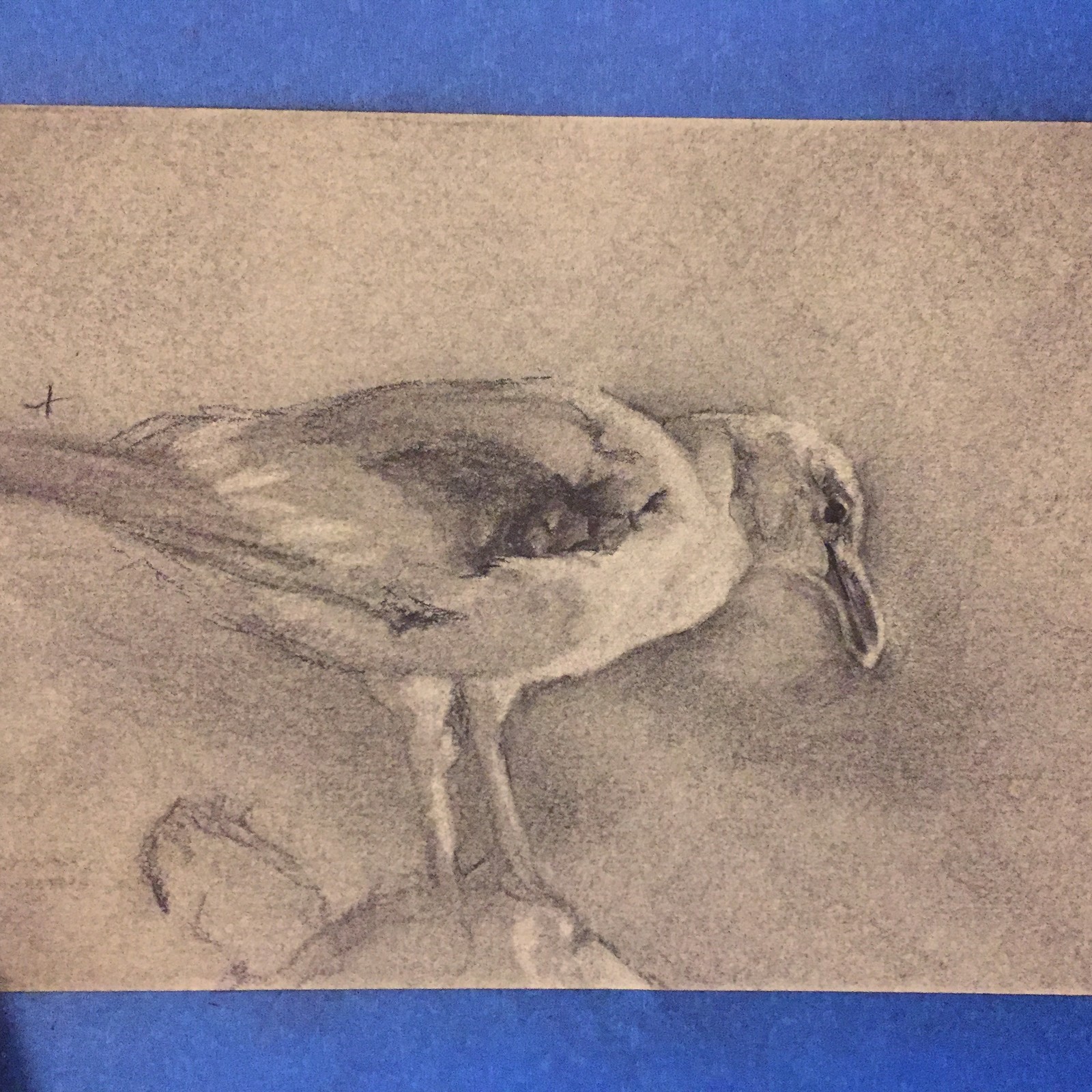 Jared Simeth - Charcoal Drawings