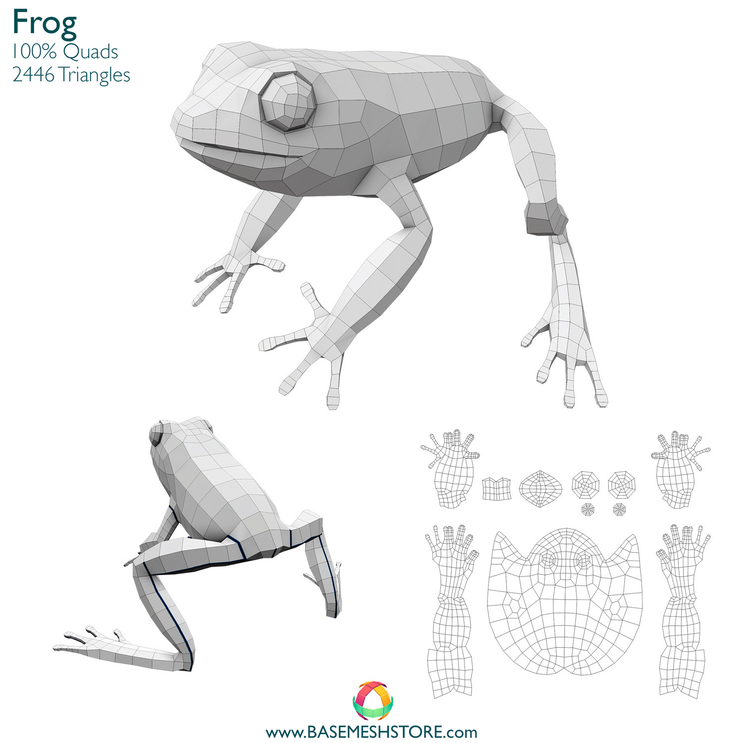 ArtStation - Frog