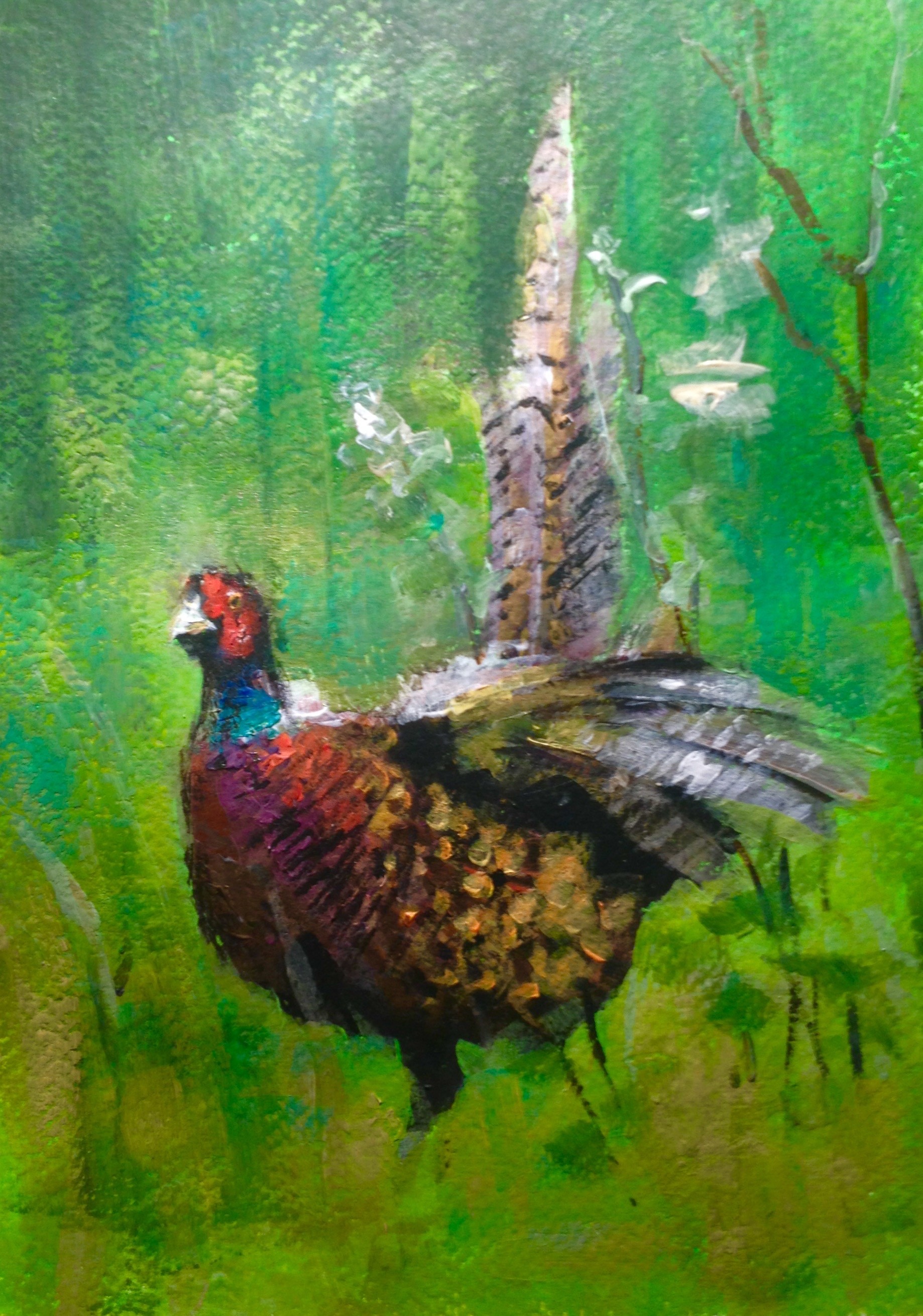 Panka Mattesz - pheasant