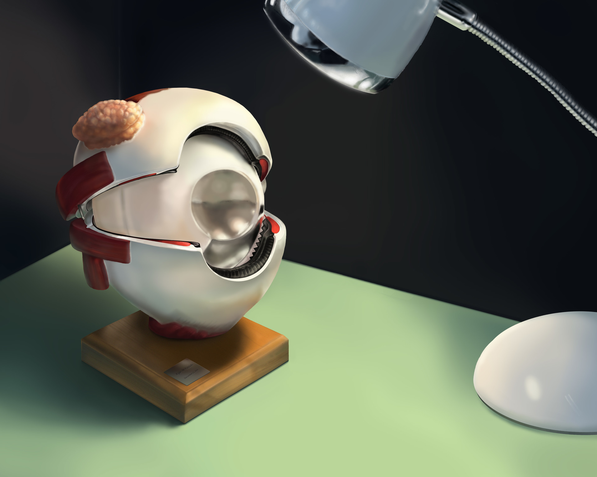 ArtStation - Anatomical Plastic Eye Model + Lamp Still Life