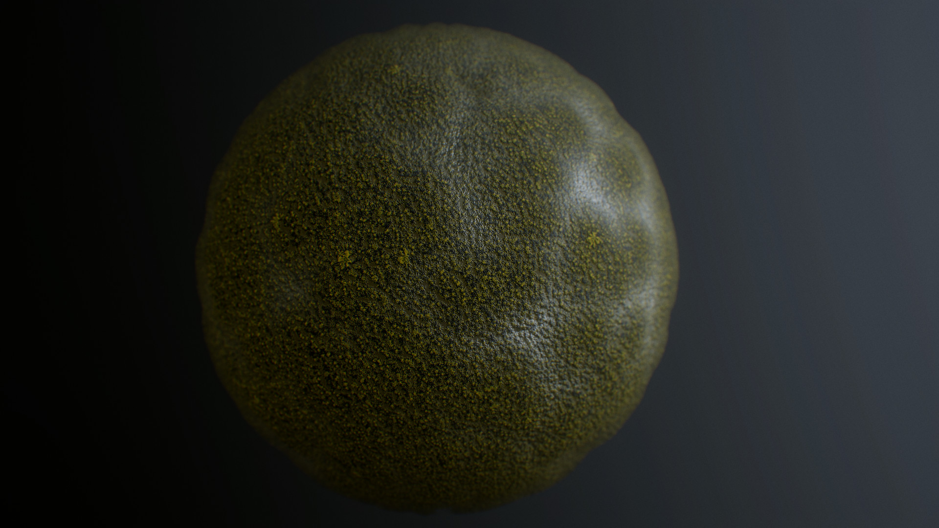 Olli-Pekka Saarenkylä - Procedural Moss