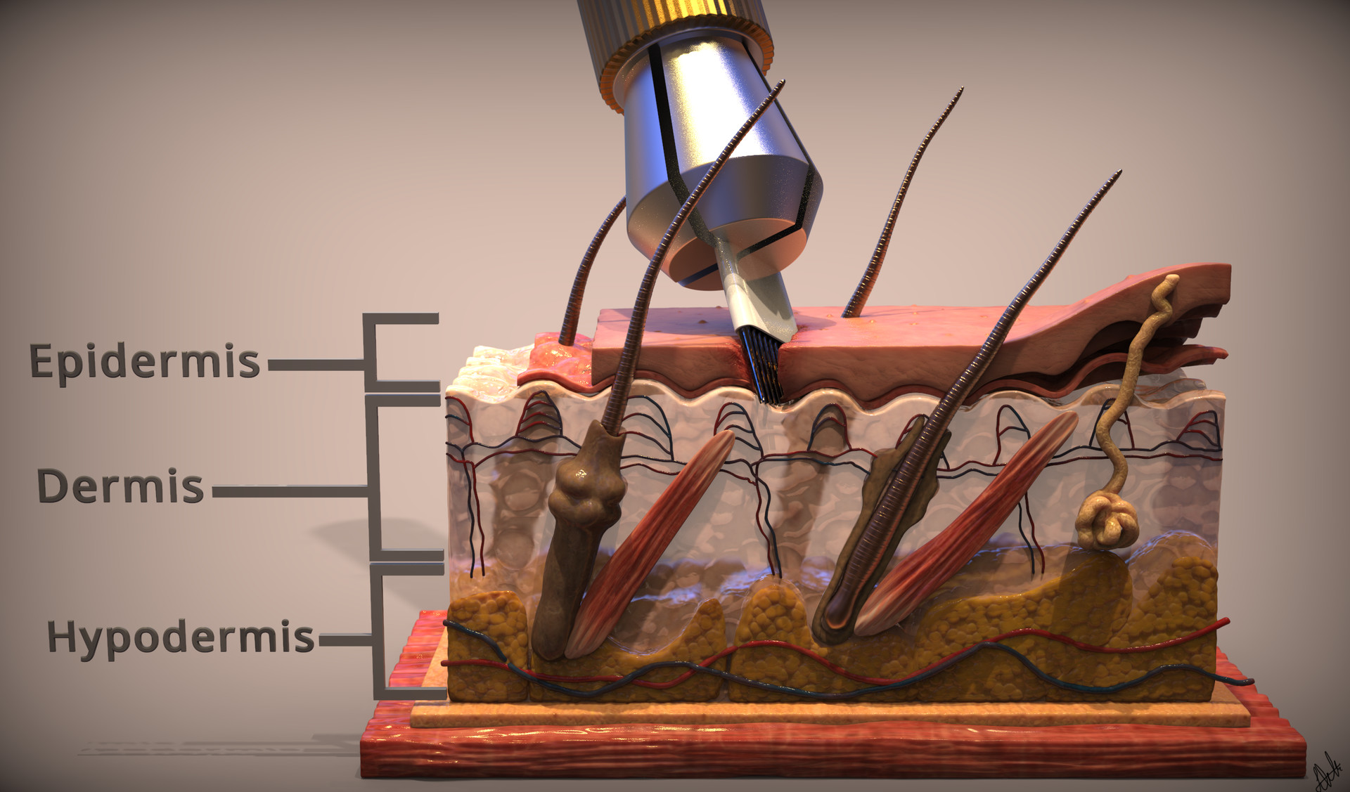 Sergün Kuyucu - Eyebrow Craze