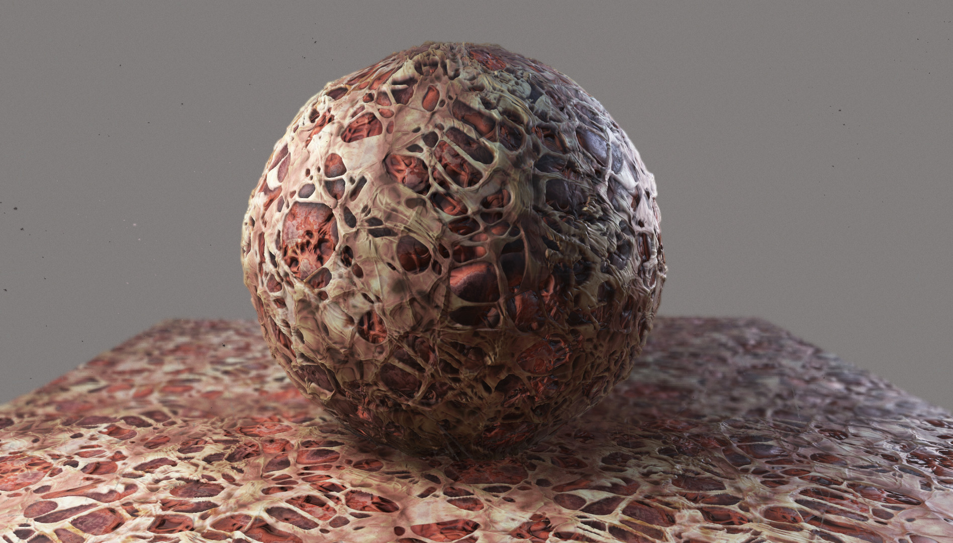 Tomáš Svojša - Decomposed Creature Skin