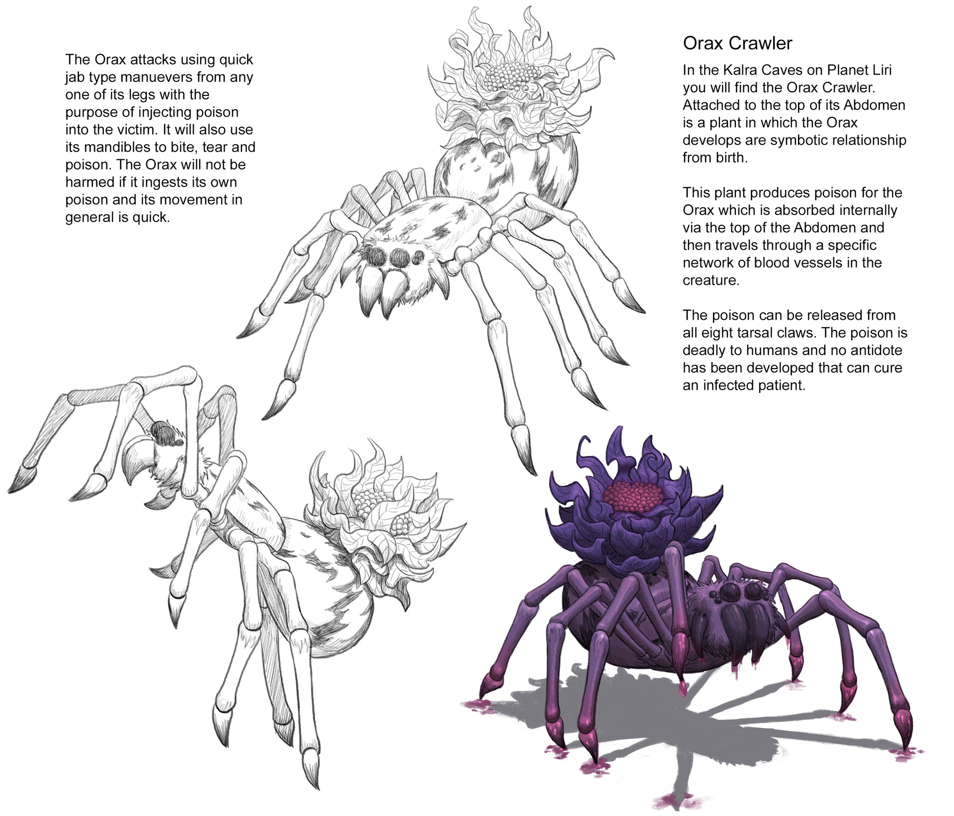 Orax Crawler : r/worldbuilding