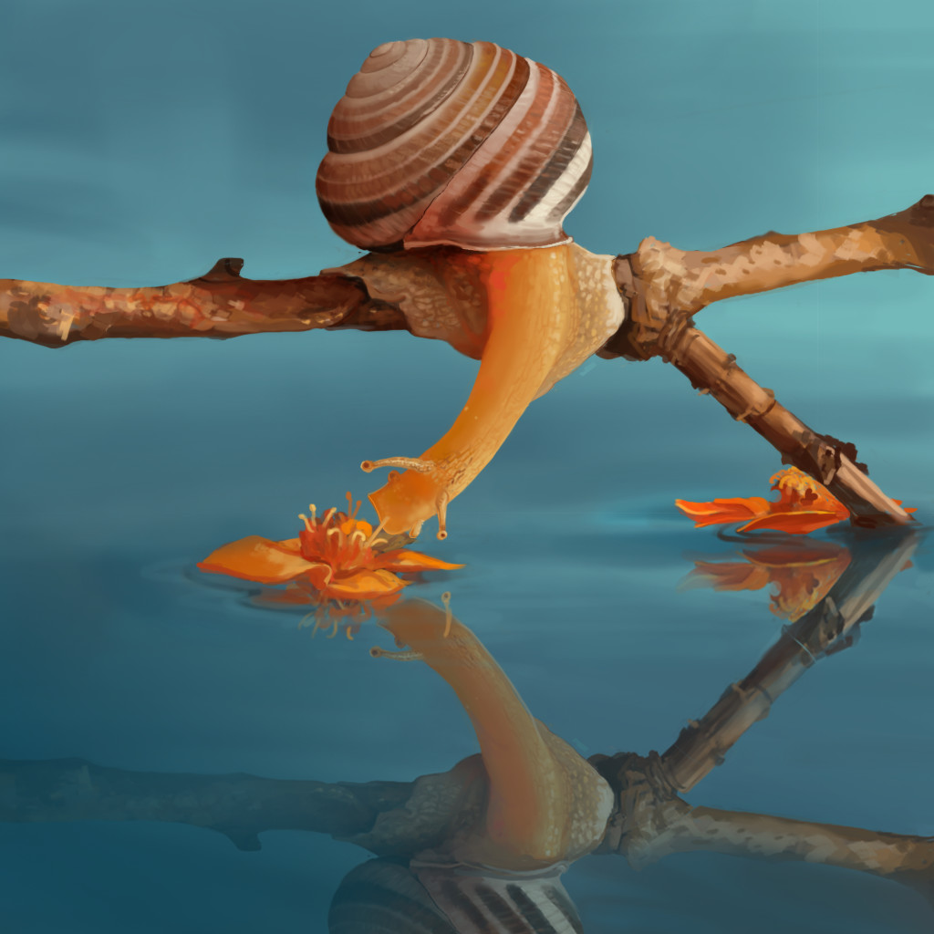 ArtStation - Snail Study