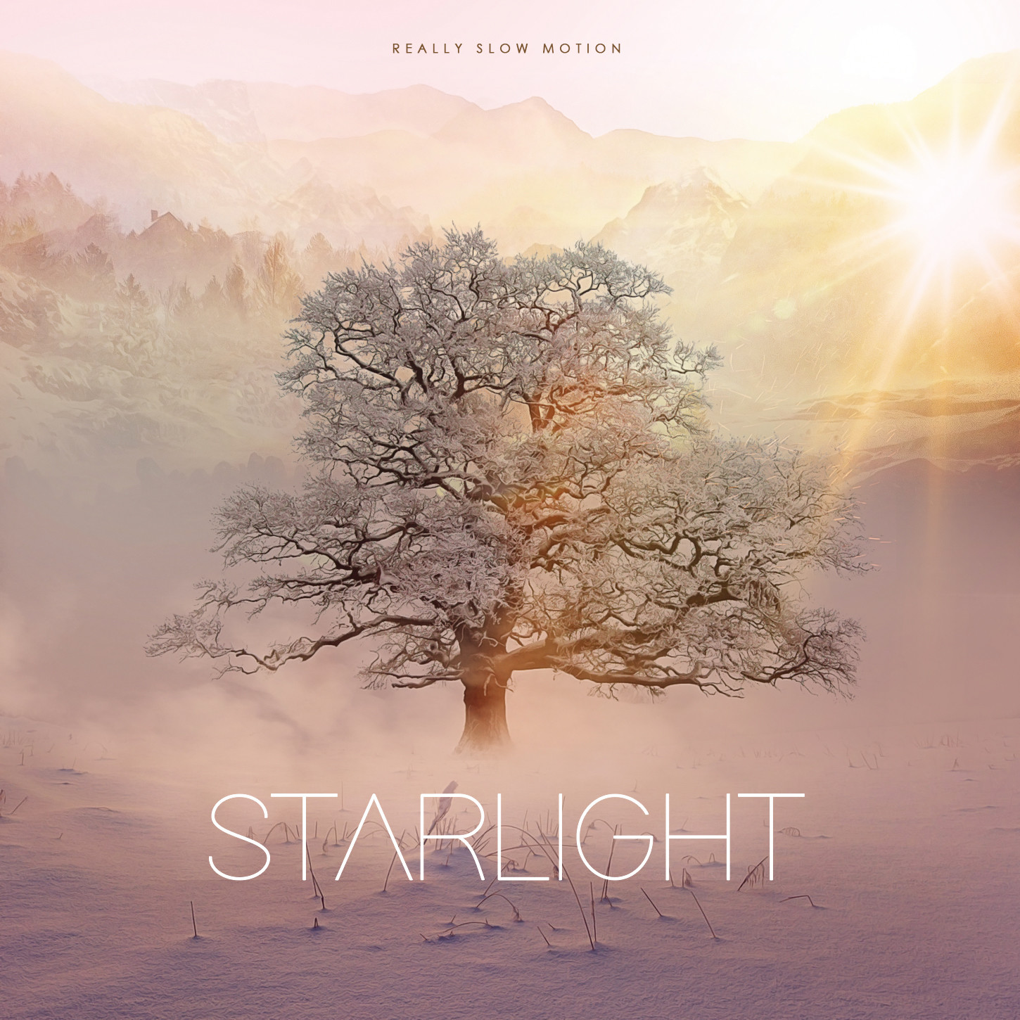 ArtStation - Starlight