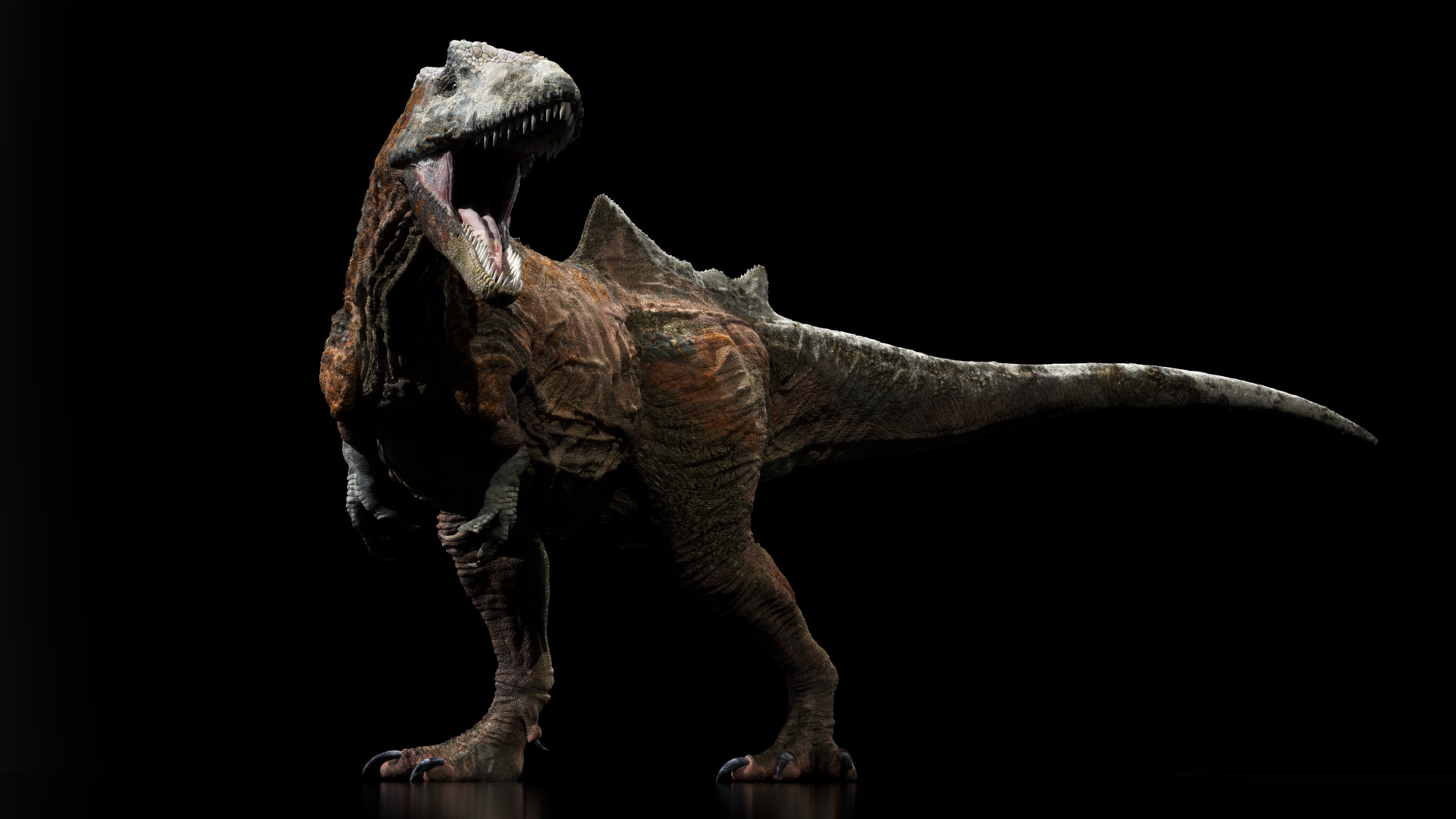 ArtStation - Concavenator