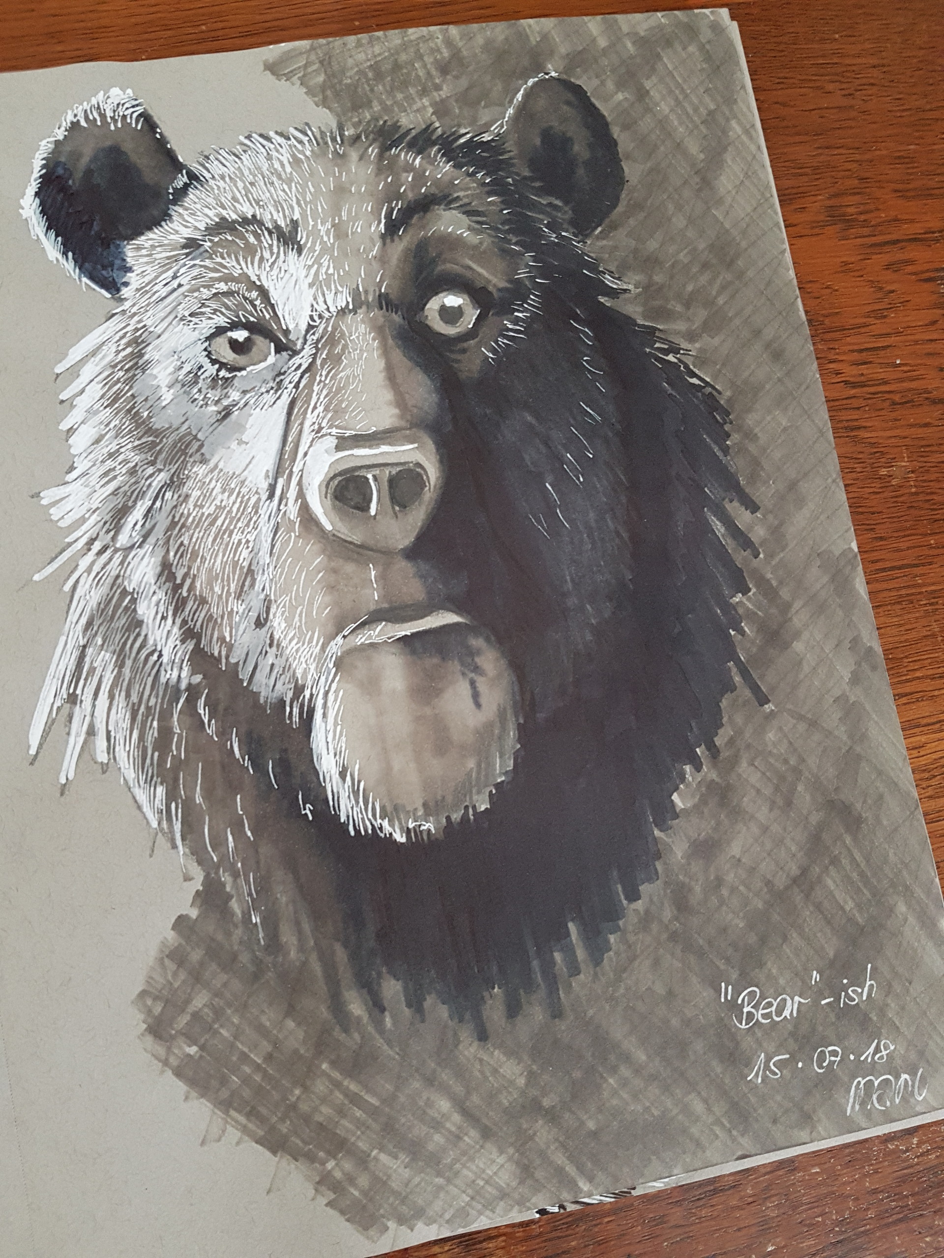 ArtStation - Bear drawings