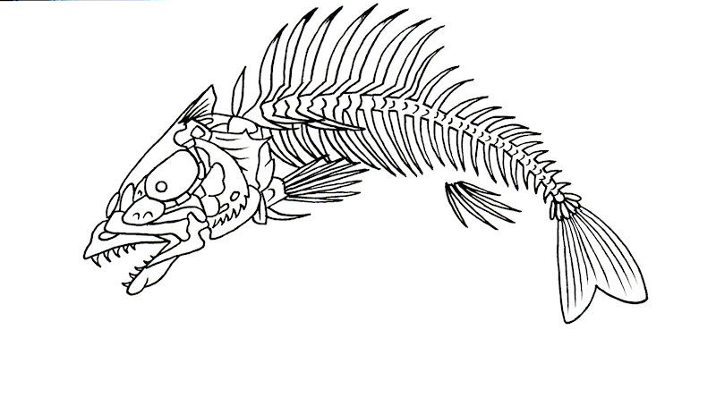 ArtStation - Mean Fish