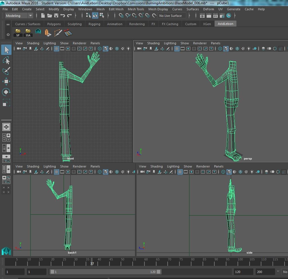 Ray Avid Lebon - Blaze Model