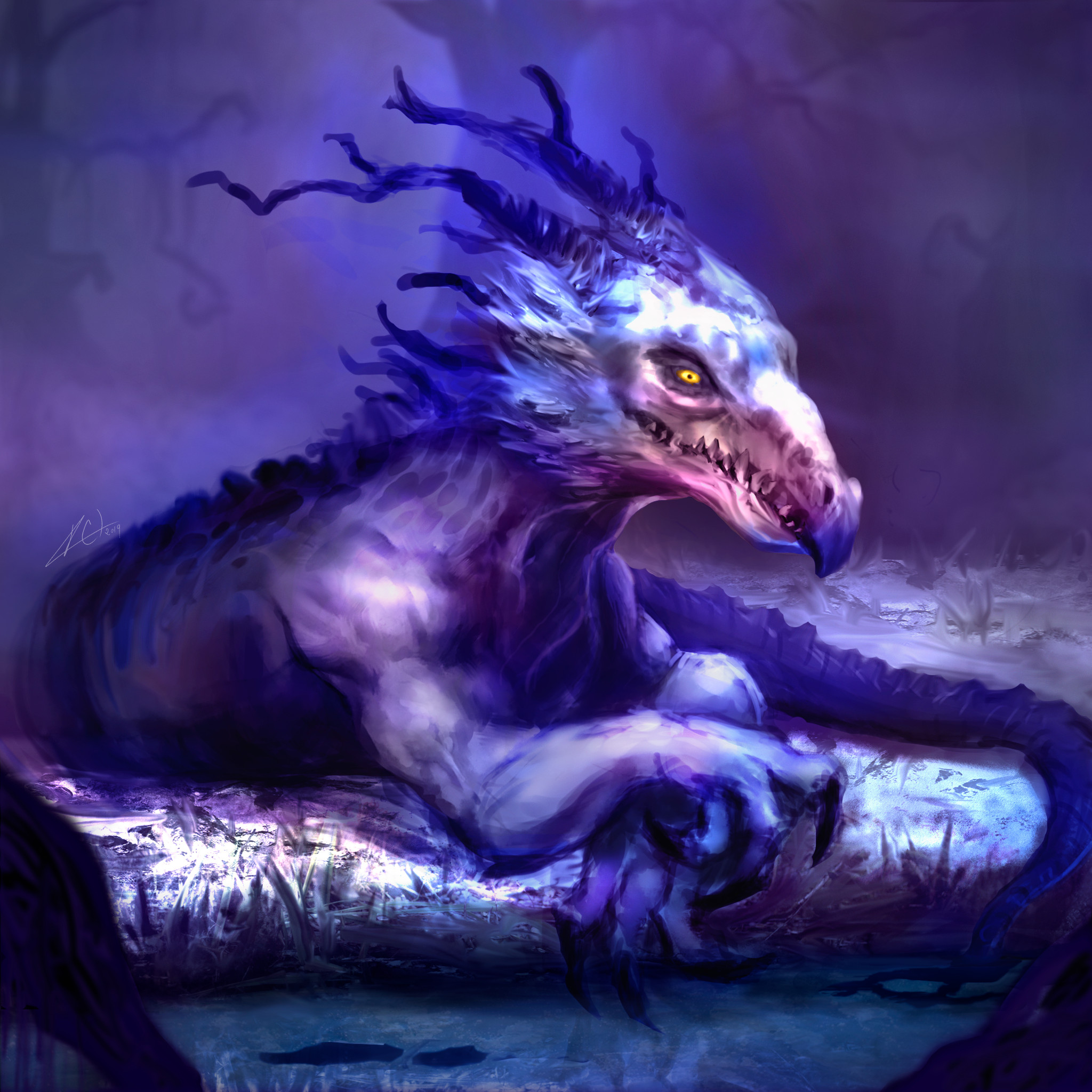 David Ceballos - Some of my Creatuanary 2019