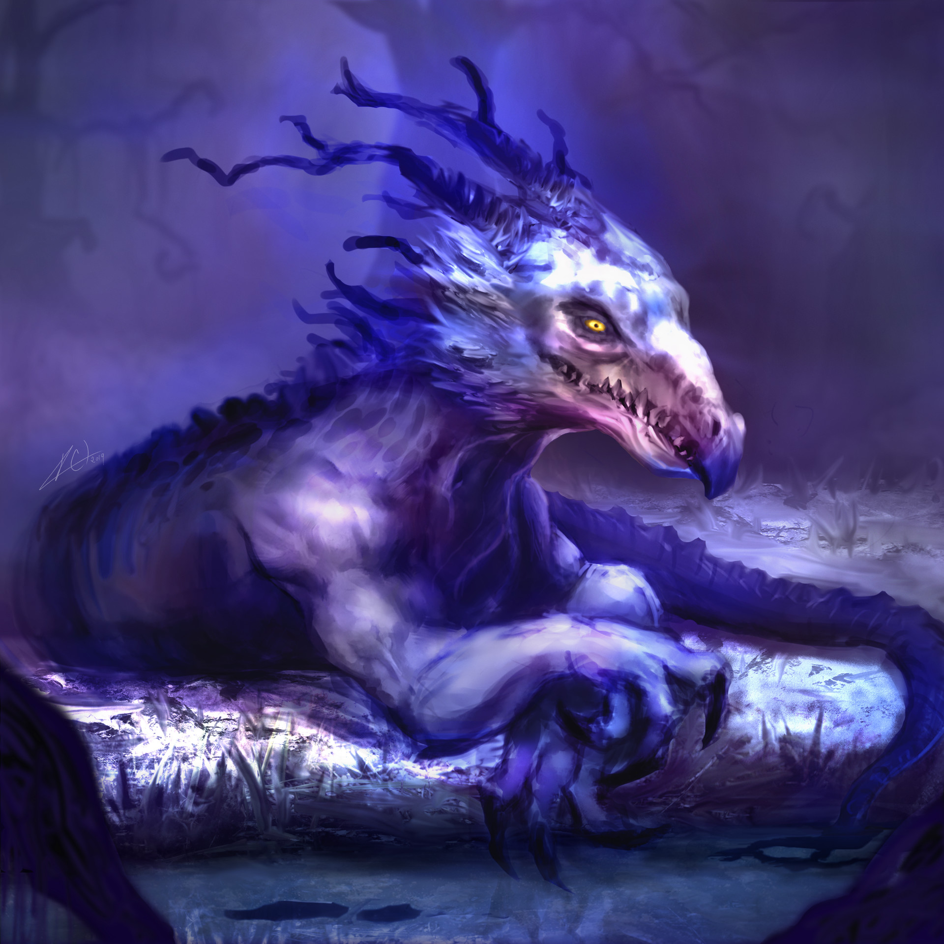 David Ceballos - Some of my Creatuanary 2019