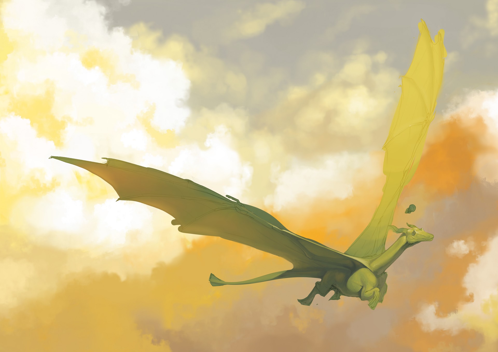 Dragons Flying Side View