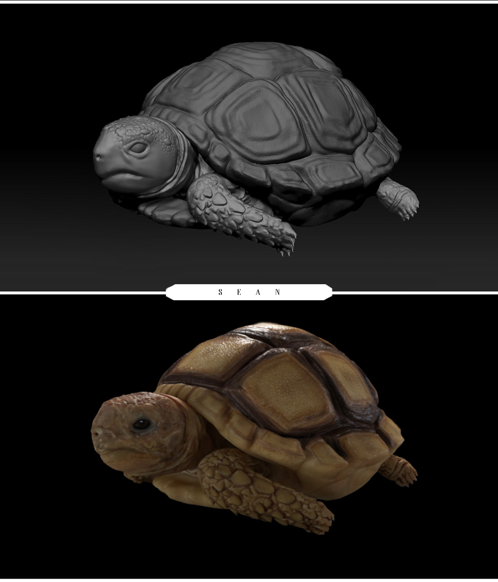 ArtStation - Turtle 3d