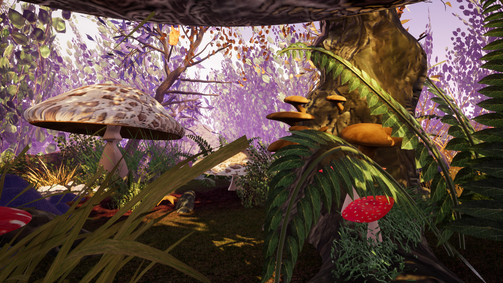 ArtStation - Mushroom Forest Test Renders