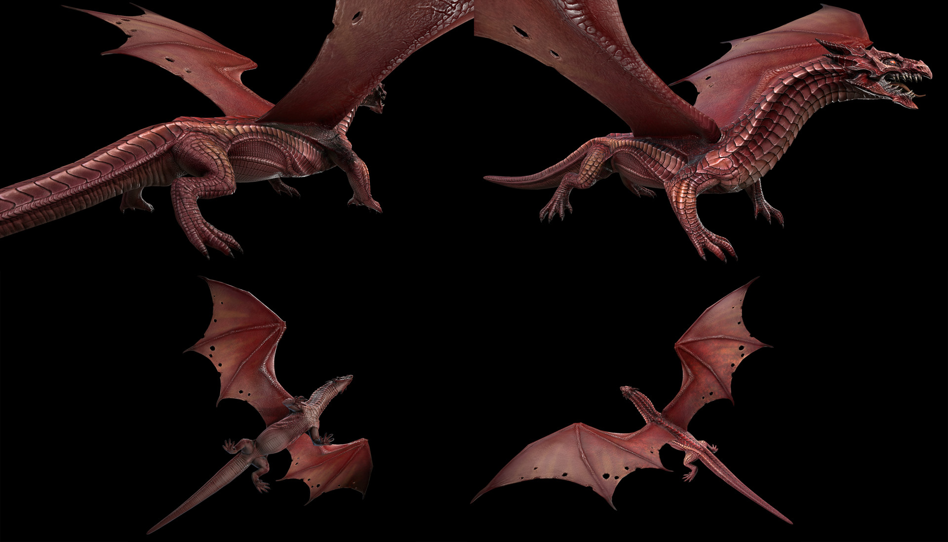 Evgeniy (Extruder) Pyrch - Dragon for KalqueLord ‏Retopology