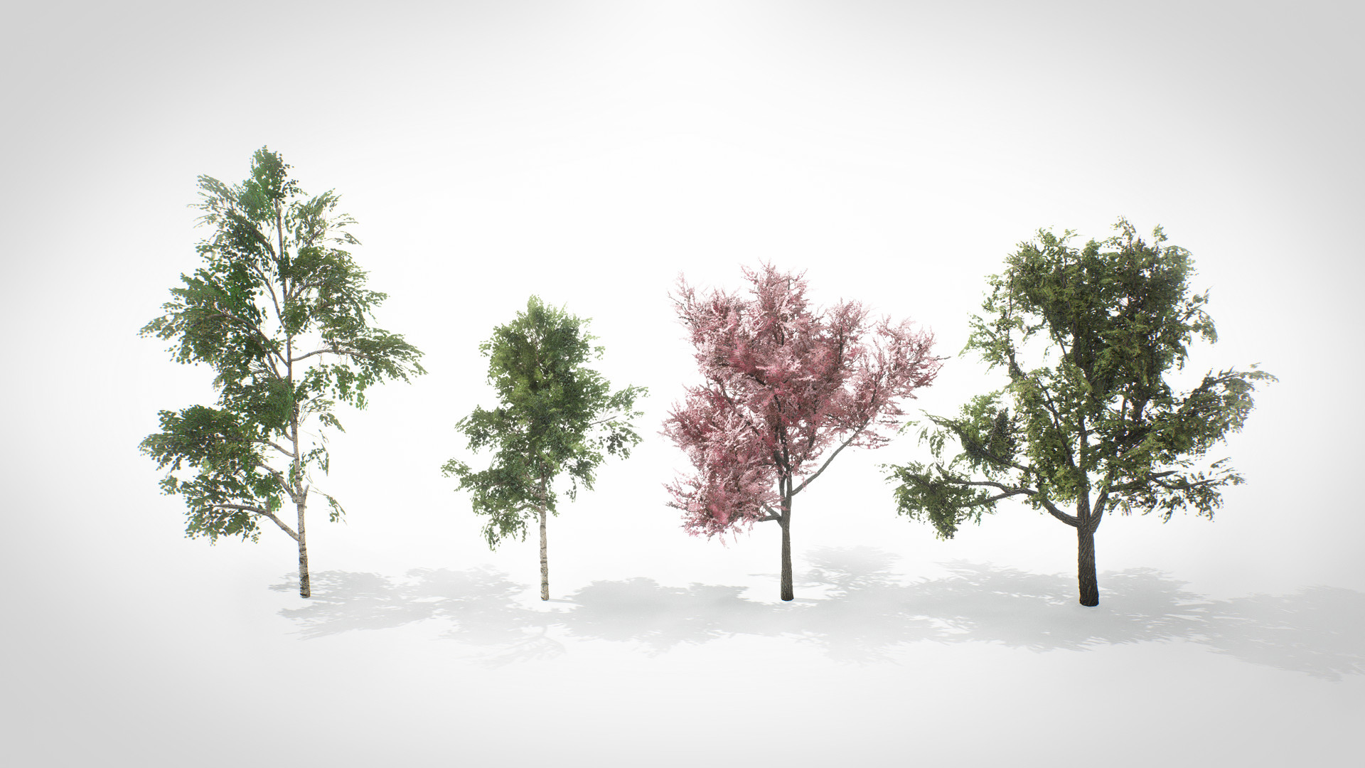 Anders Schei - Procedural Trees with Houdini