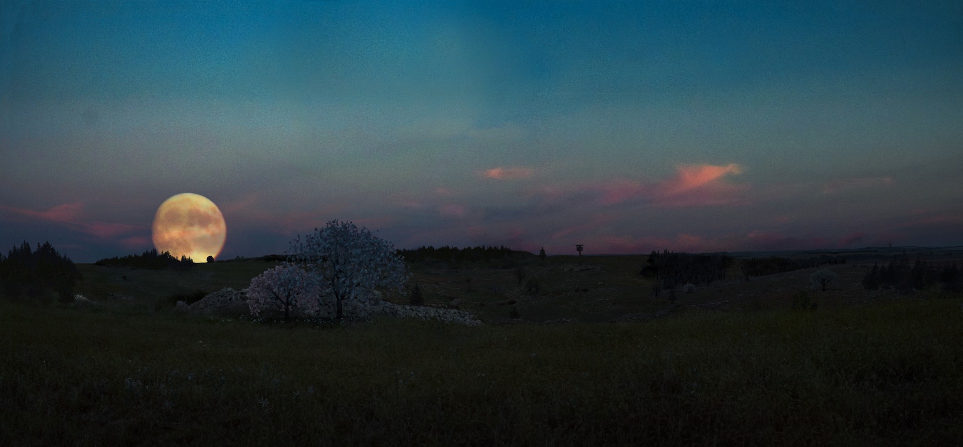 ArtStation - Moonight