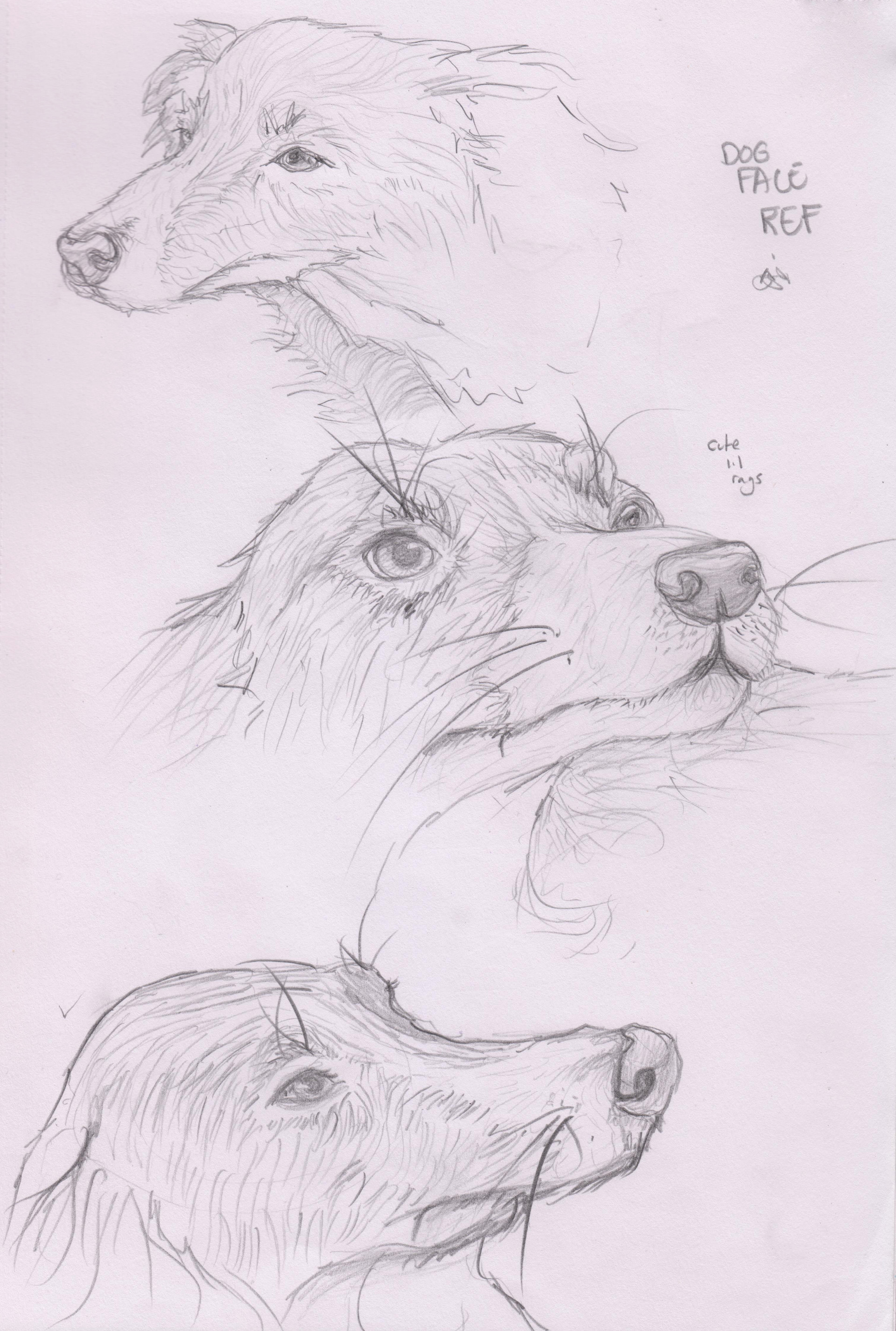 ArtStation - Still Dog