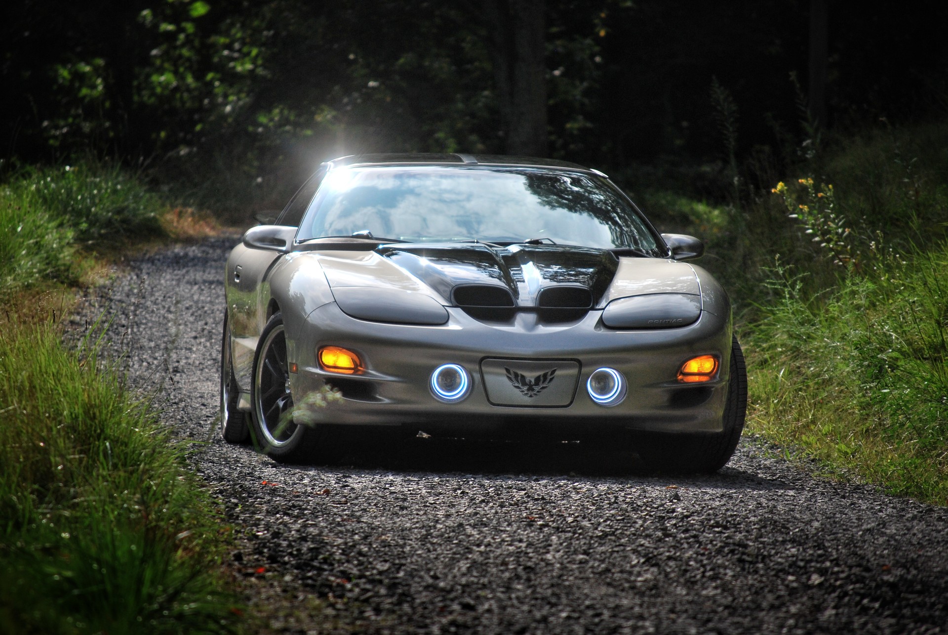 ArtStation - My Trans Am WS6