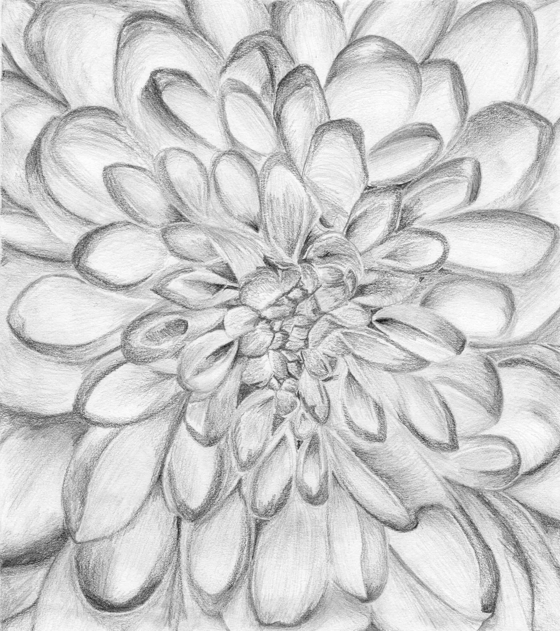 ArtStation - A5 Pencil Drawing