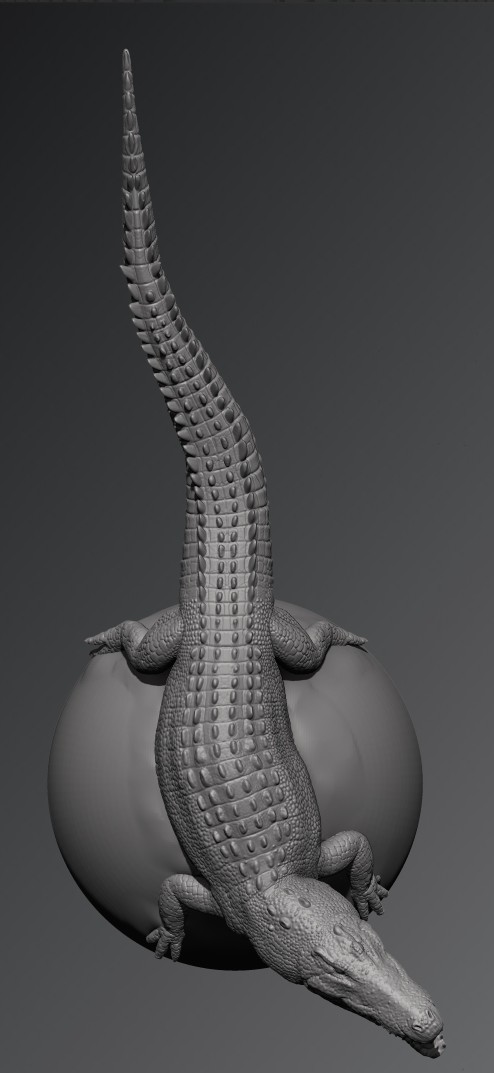 Sandeep Gehlot - Crocodile