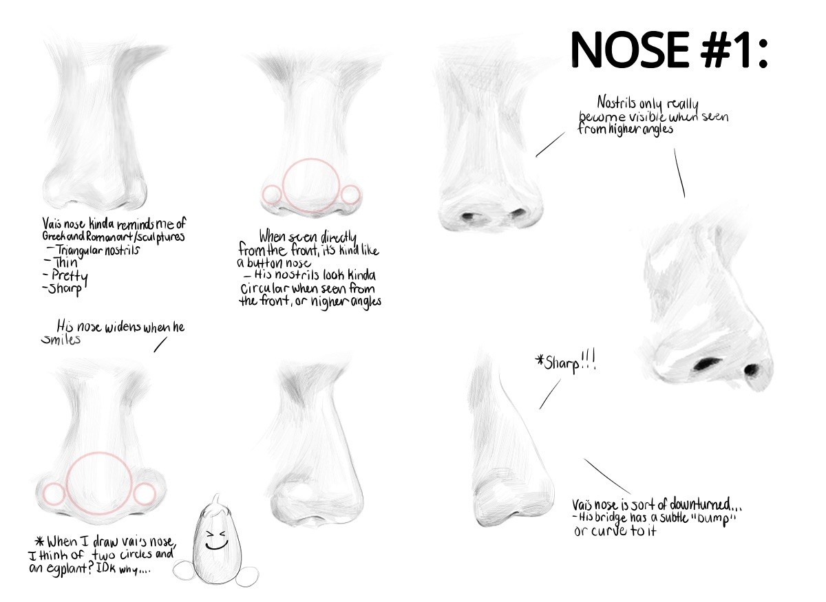 button nose shape drawing