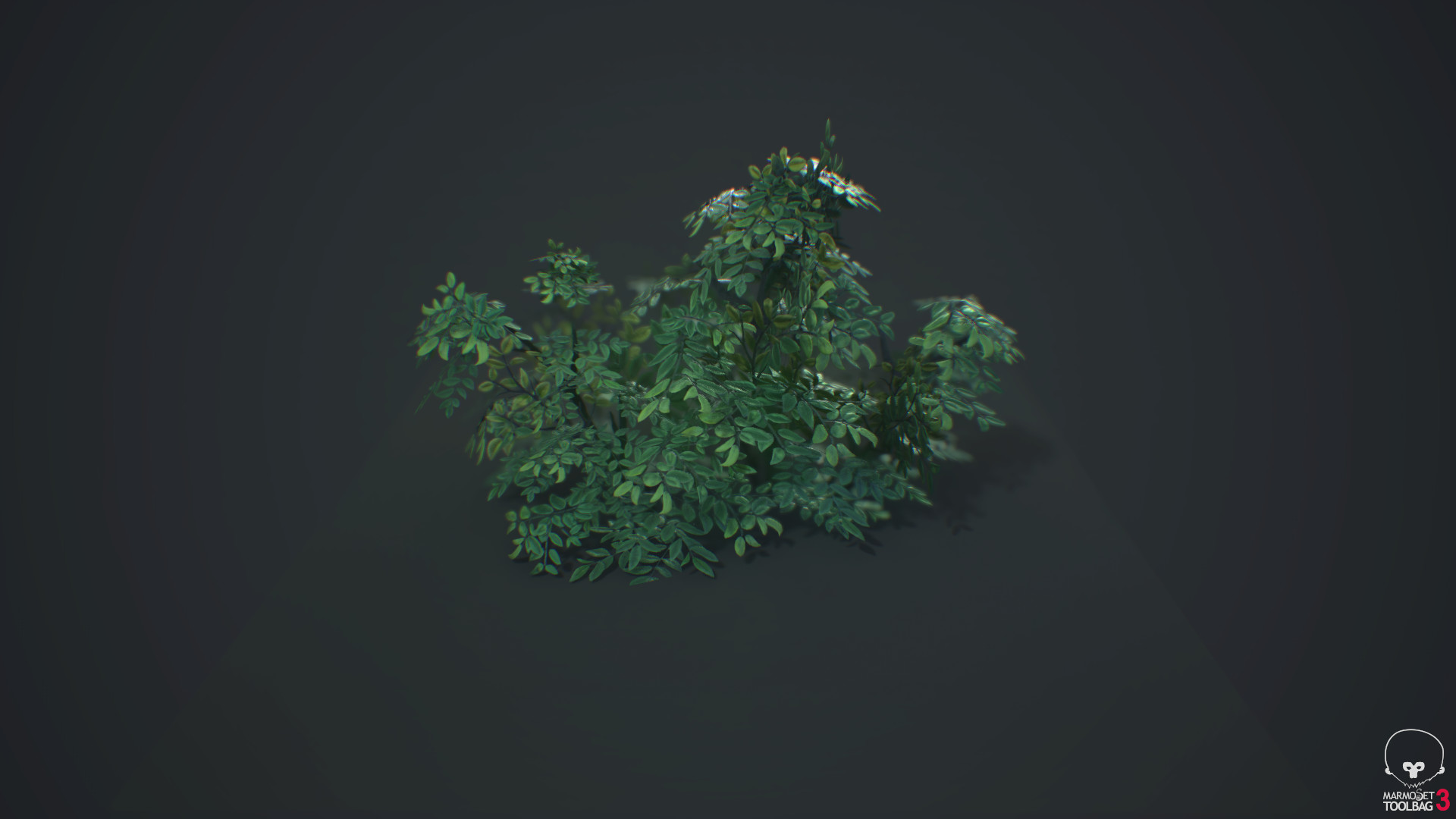 ArtStation - shrubs