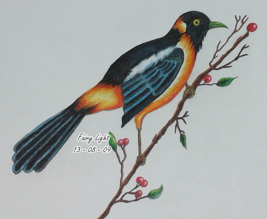 ArtStation - Turpial